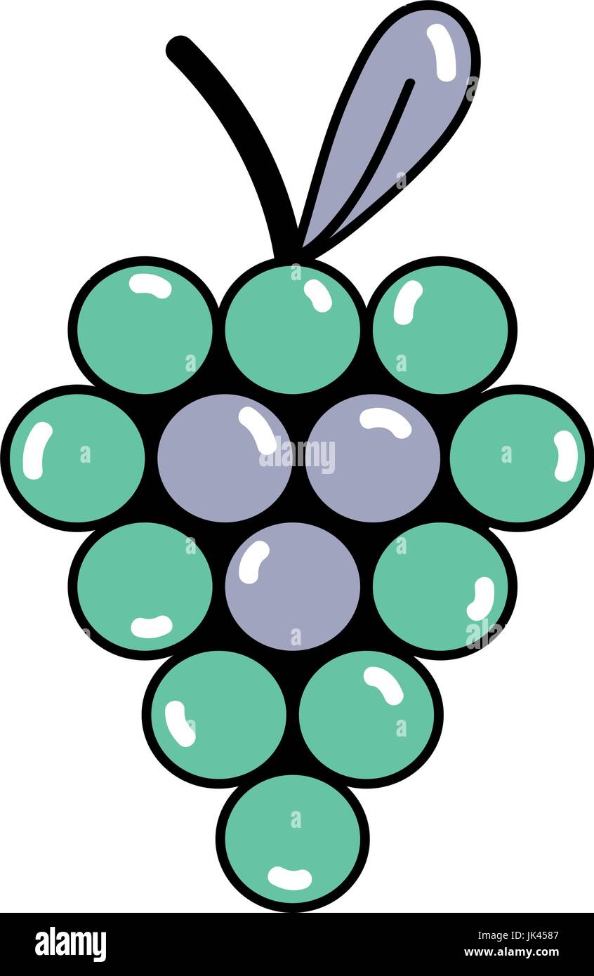 delicious grape fruit with vitamins and protein Stock Vector Image & Art - Alamy