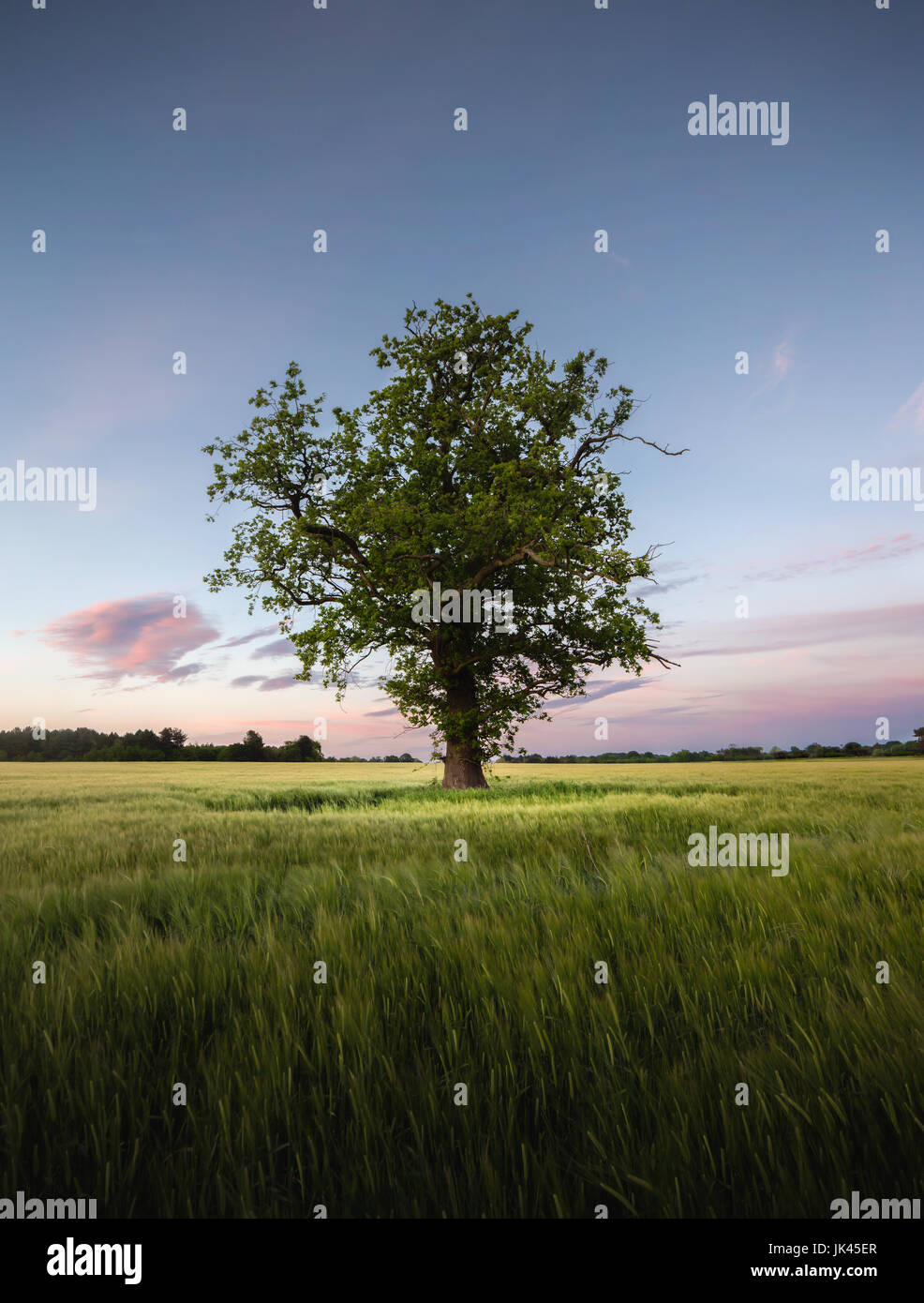 Pastle colors hi-res stock photography and images - Alamy