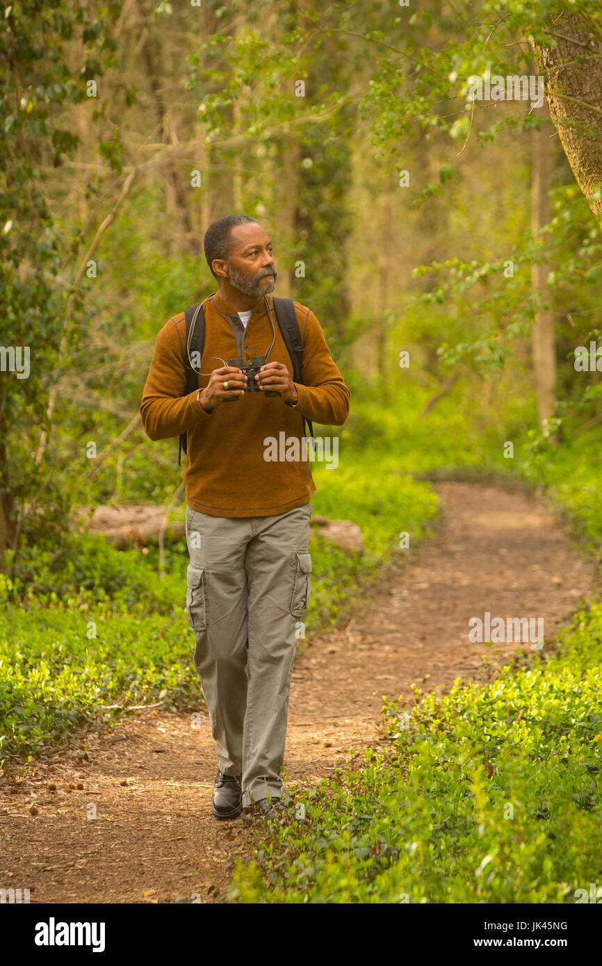 African American man walking on path in forest holding binoculars Stock ...