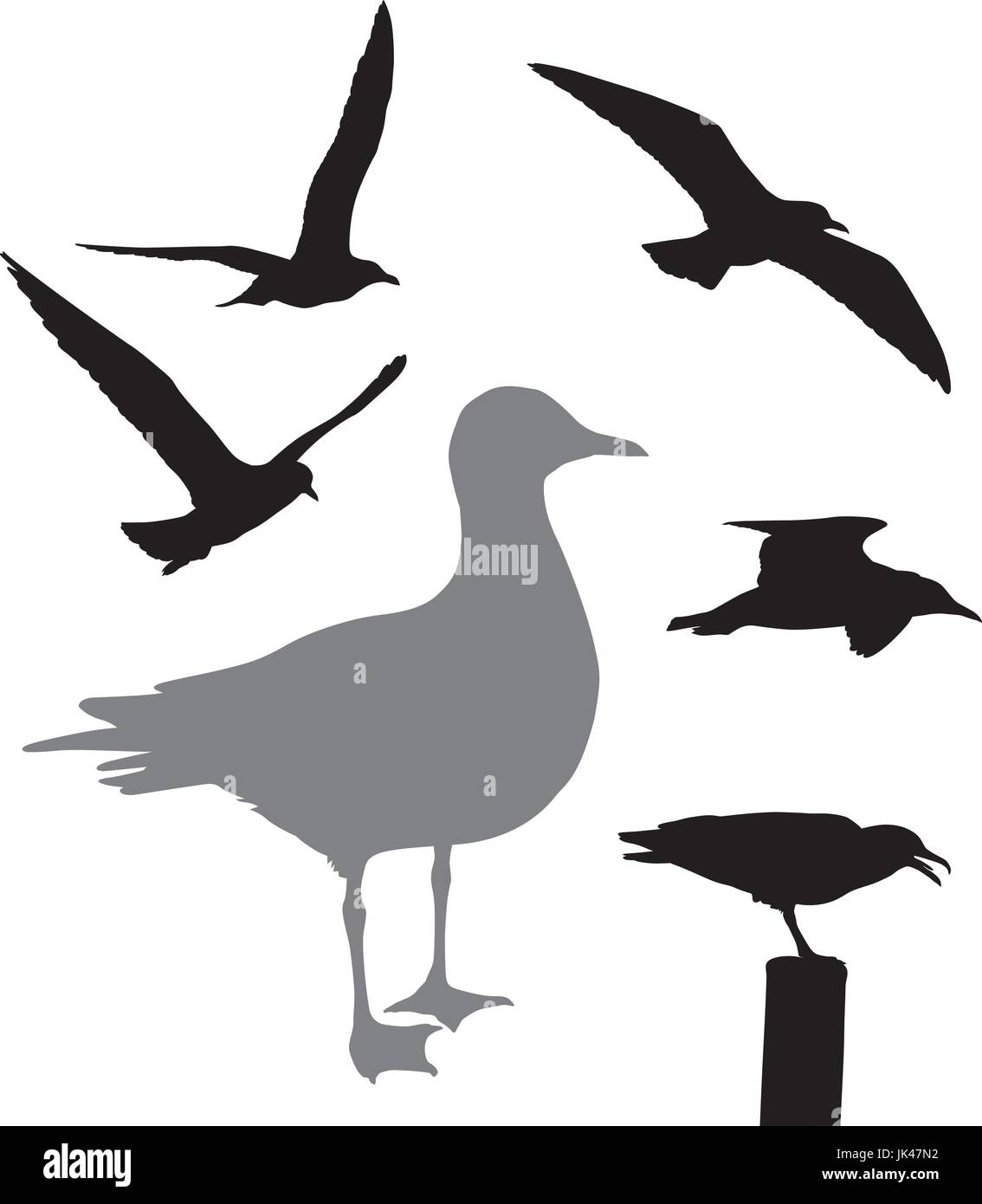 Gull wing shape hi-res stock photography and images - Alamy