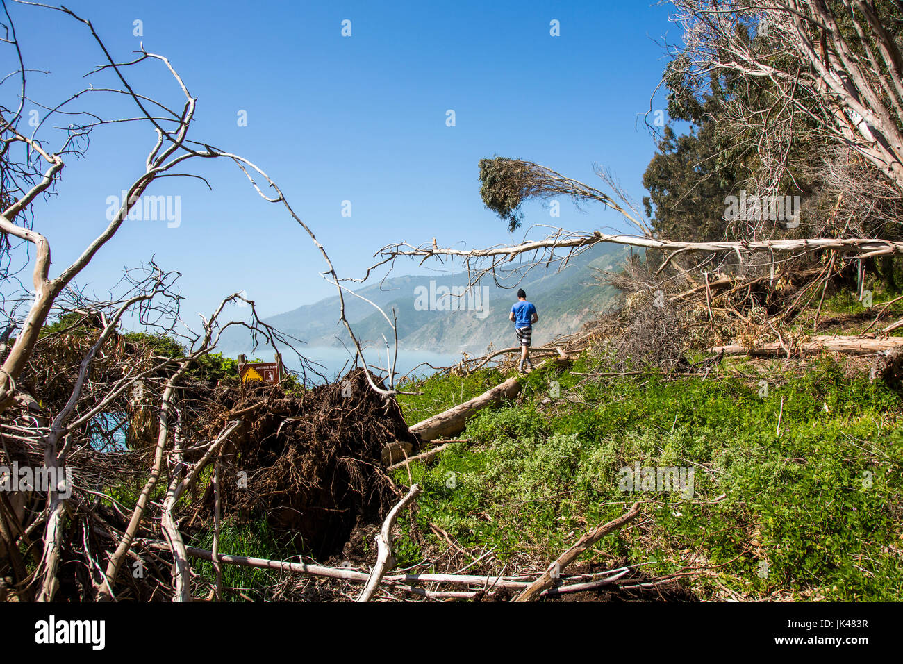 Man walking on log in hi-res stock photography and images - Alamy