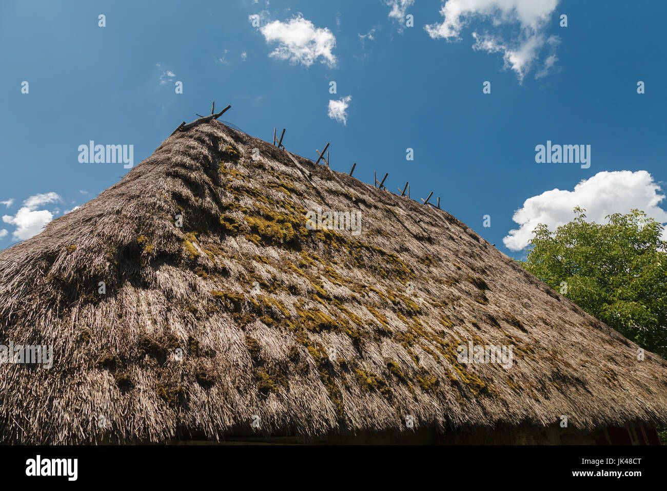 Straw roof texture building hi-res stock photography and images - Alamy