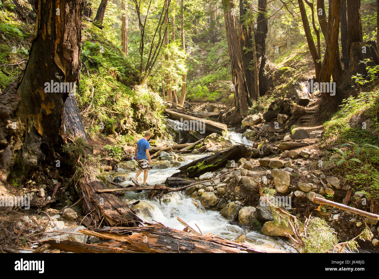 Caucasian man walking on wooden plank over forest stream Stock Photo ...