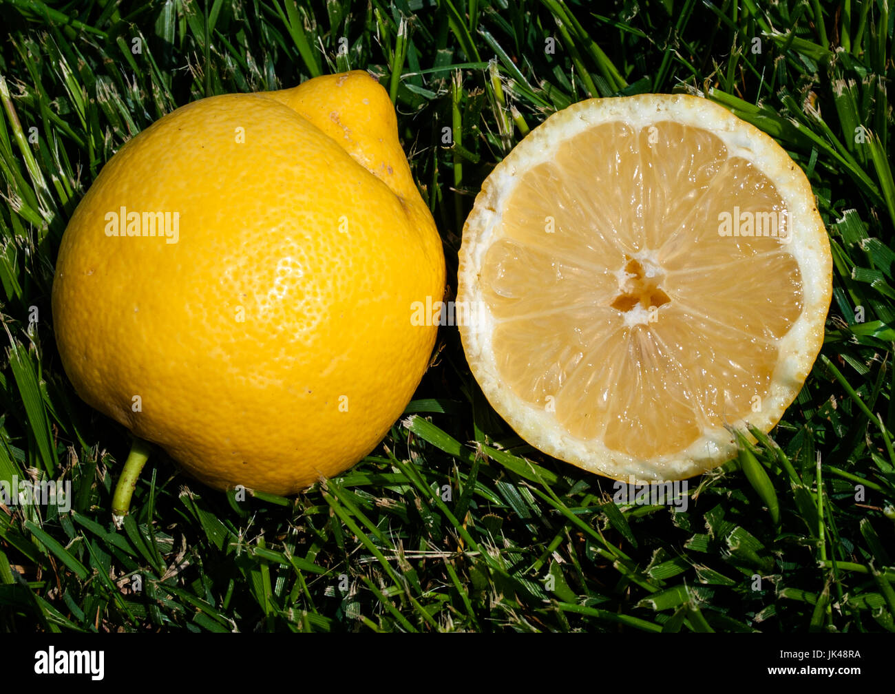 Lemon grass cut hi-res stock photography and images - Alamy