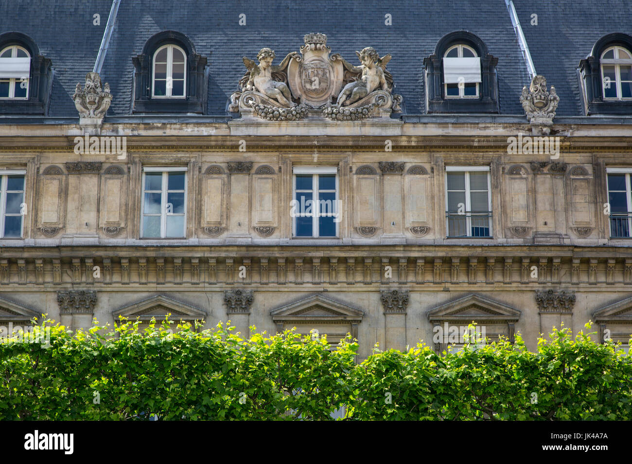French architecture above a hedge row in the Marais district, Paris ...