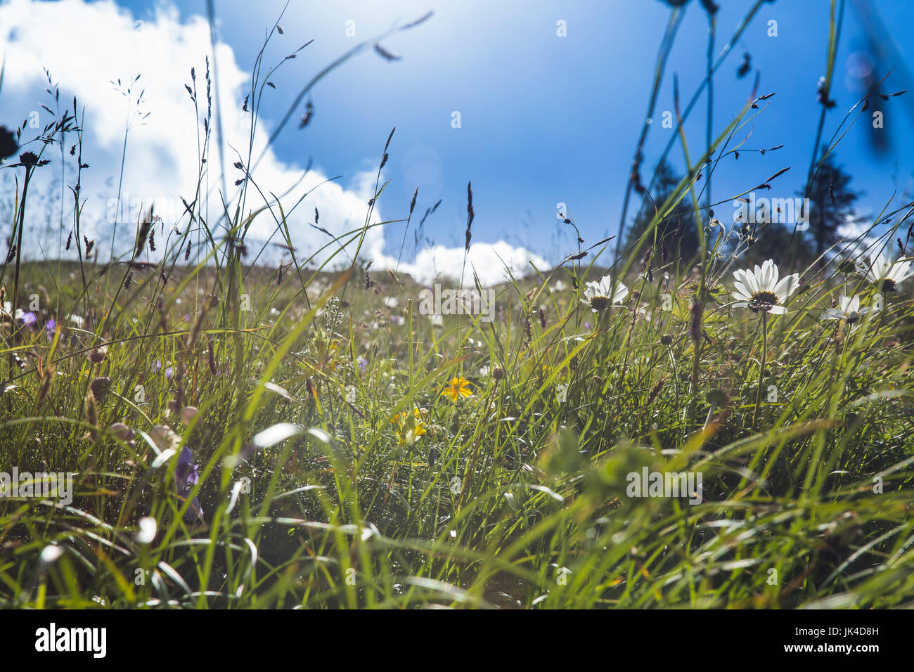 Jagged mountains of the Alps around the mountain refuge cabin Walter ...
