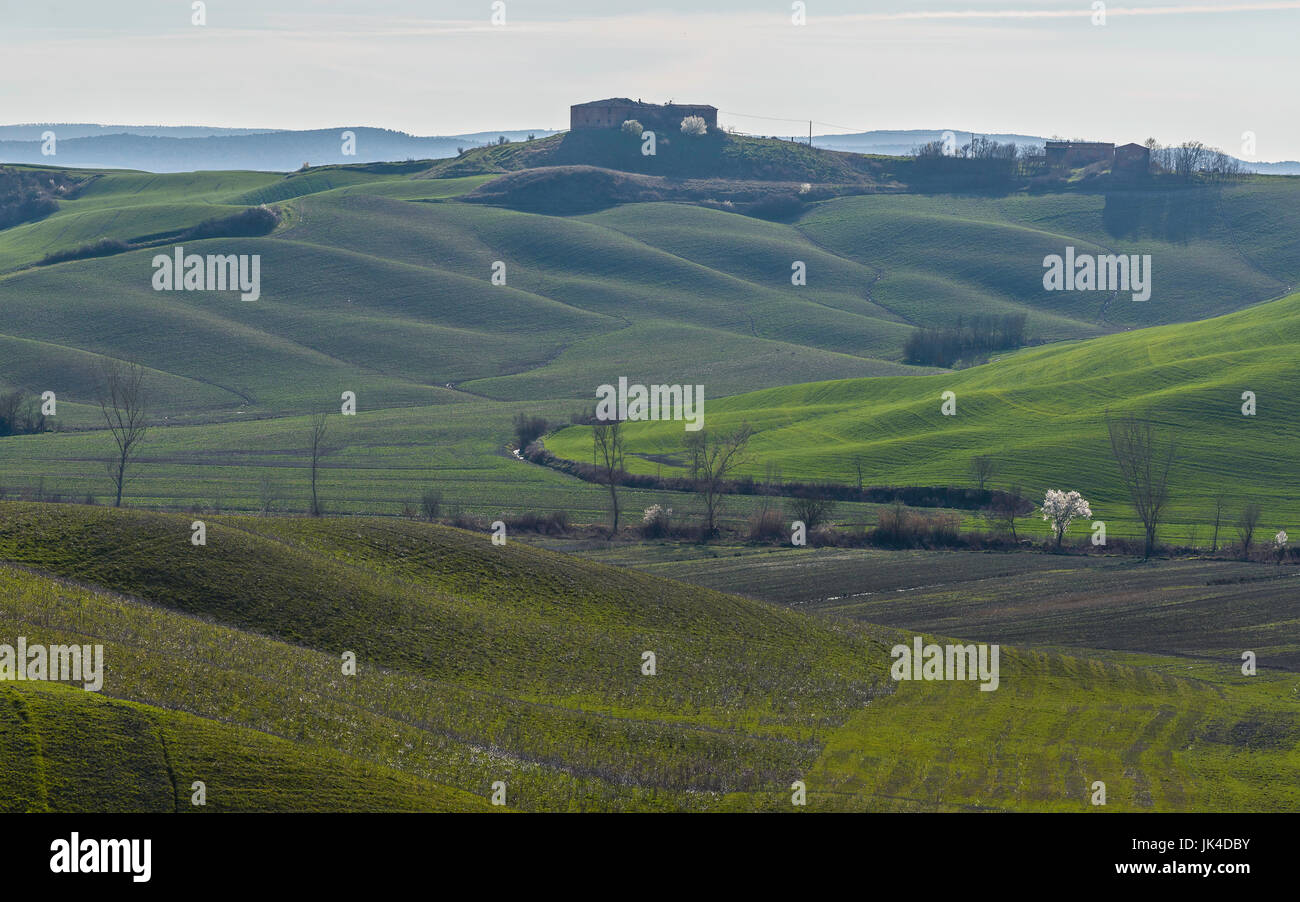 Siena hills landscapes Stock Photo - Alamy