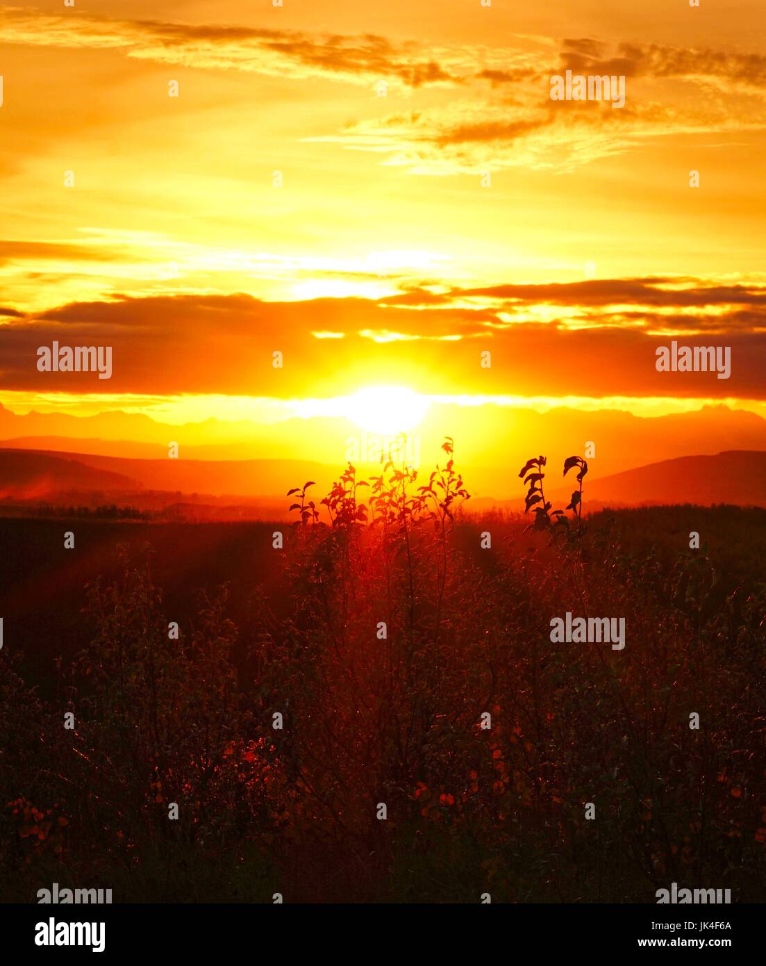 Last rays of the sun during golden hour Stock Photo - Alamy