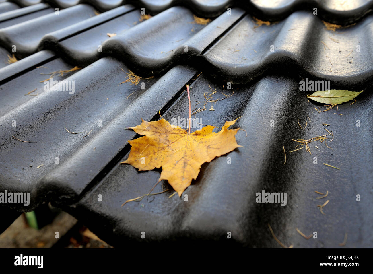 architecture, roof, roofing, weather protection, protection, weather ...