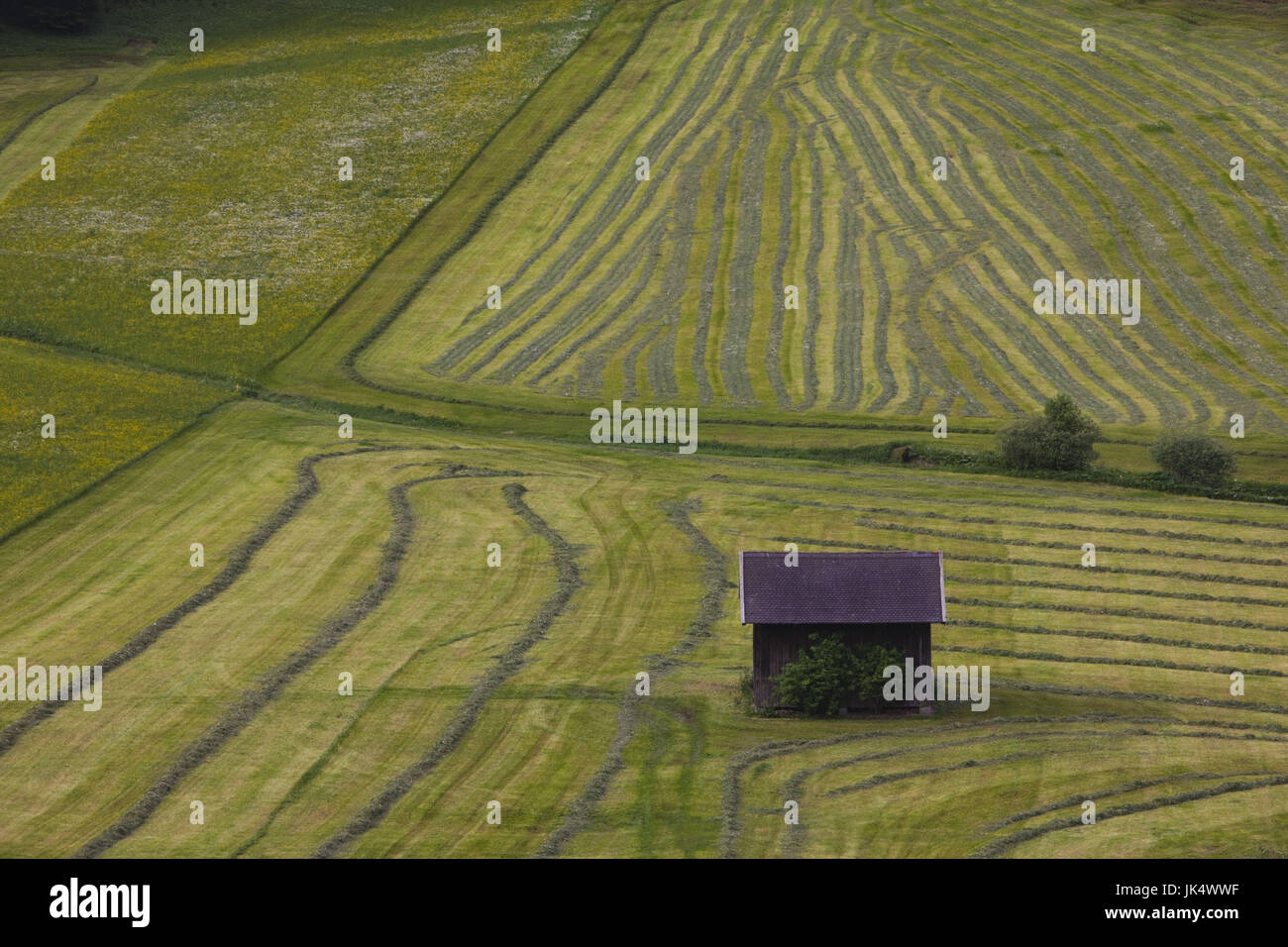 Germany, Bavaria, Ettal, Spring Field Stock Photo - Alamy
