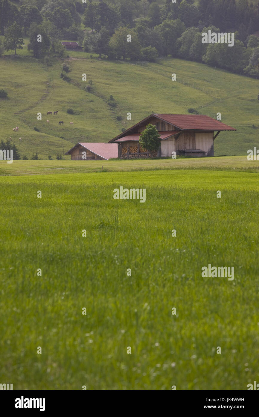 Germany, Bavaria, Deutsche Alpenstraße, farm Stock Photo - Alamy
