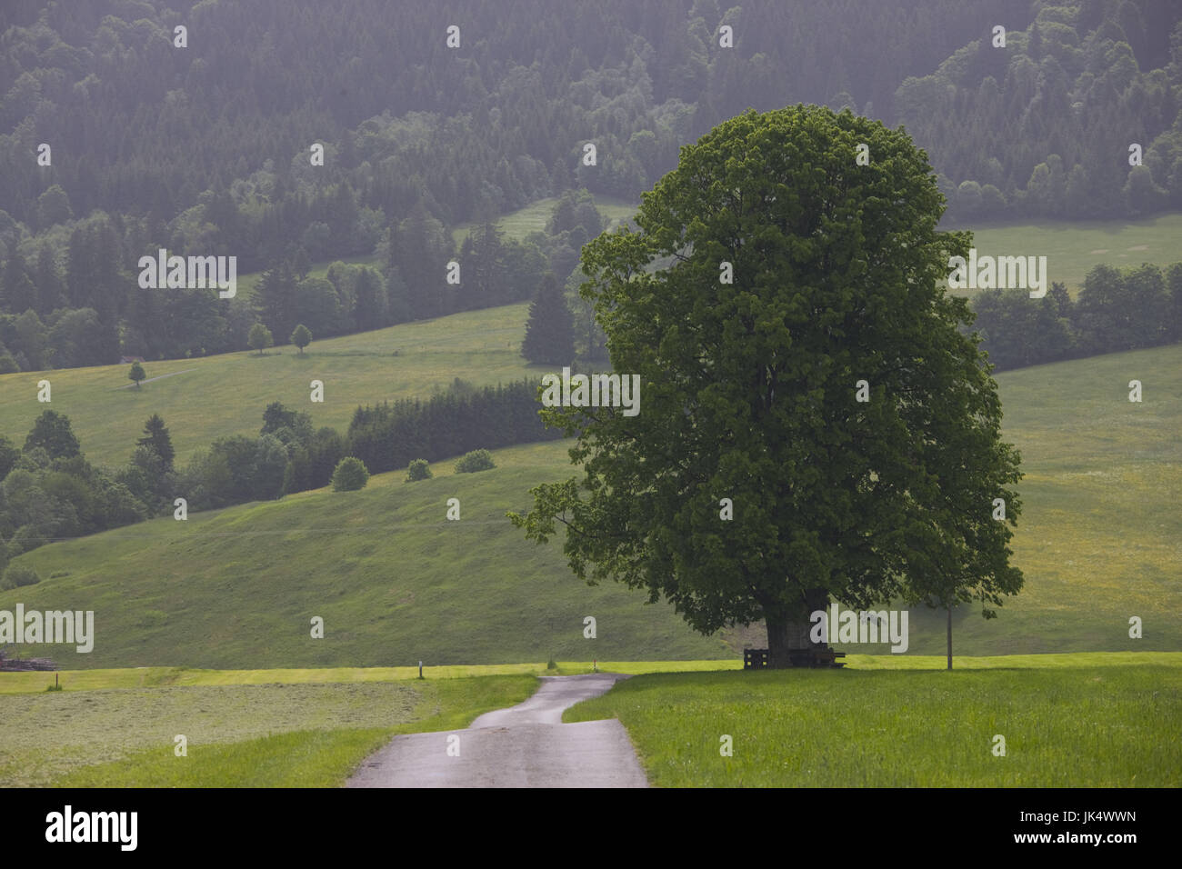 Trauchgau hi-res stock photography and images - Alamy