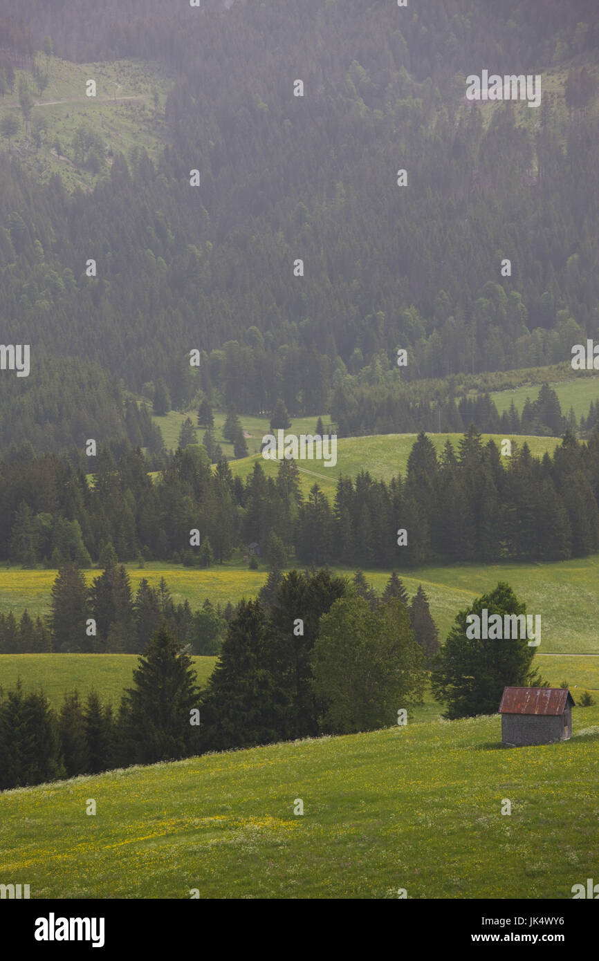 Germany, Bavaria, Deutsche Alpenstraße, Bad Hindelang, Alpine field ...