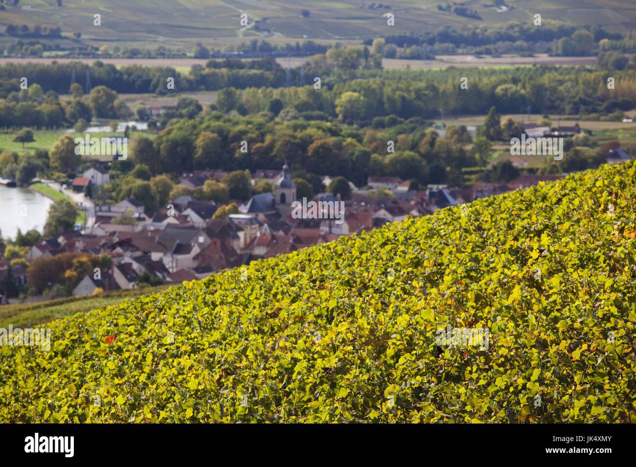 France, Marne, Champagne Region, Cumieres, town overview from vineyards ...