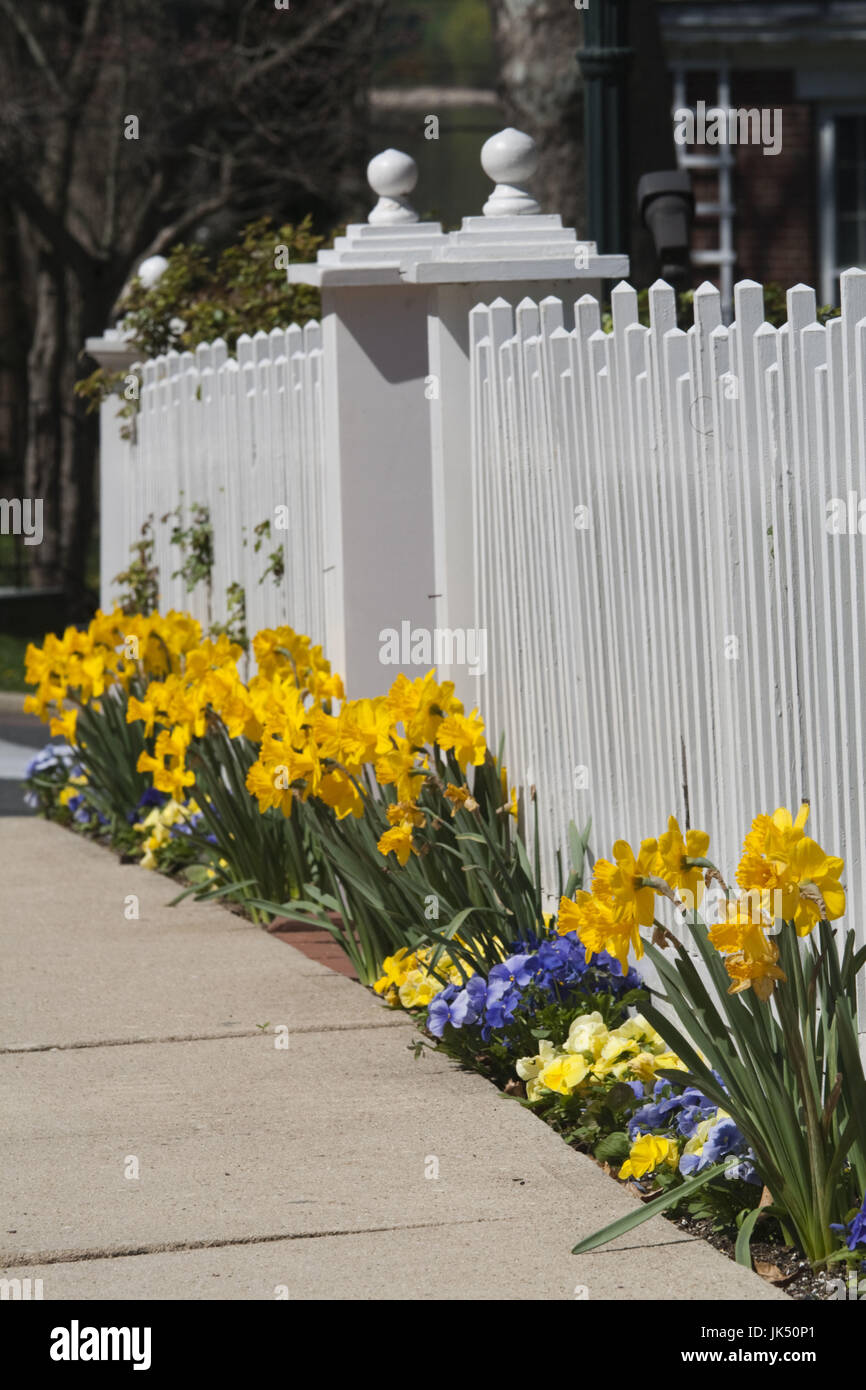 USA, New York, Long Island, Cold Spring Harbor, spring fence detail ...