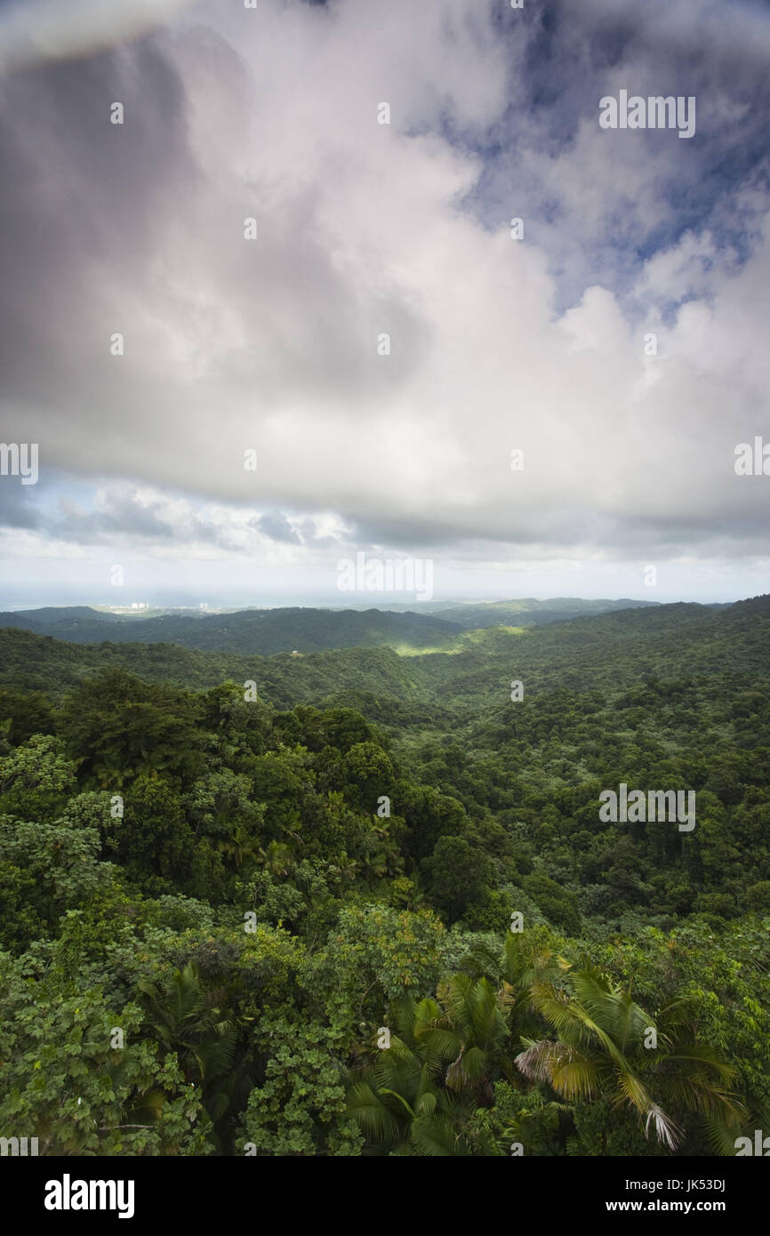 Puerto Rico, East Coast, El Yunque Rainforest, elevated view from ...