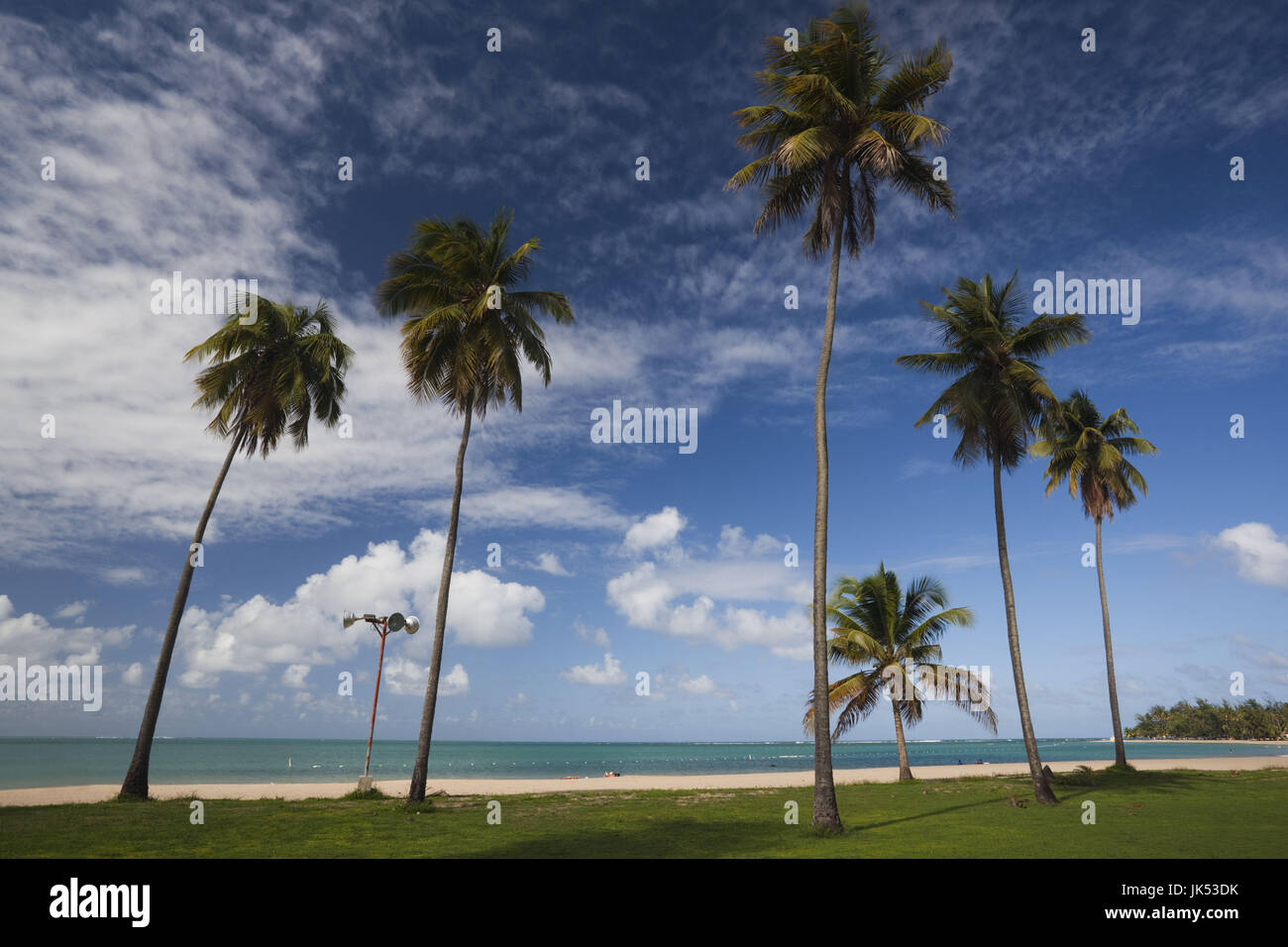 Puerto Rico, East Coast, Luquillo, Playa Luquillo Beach, palms Stock ...