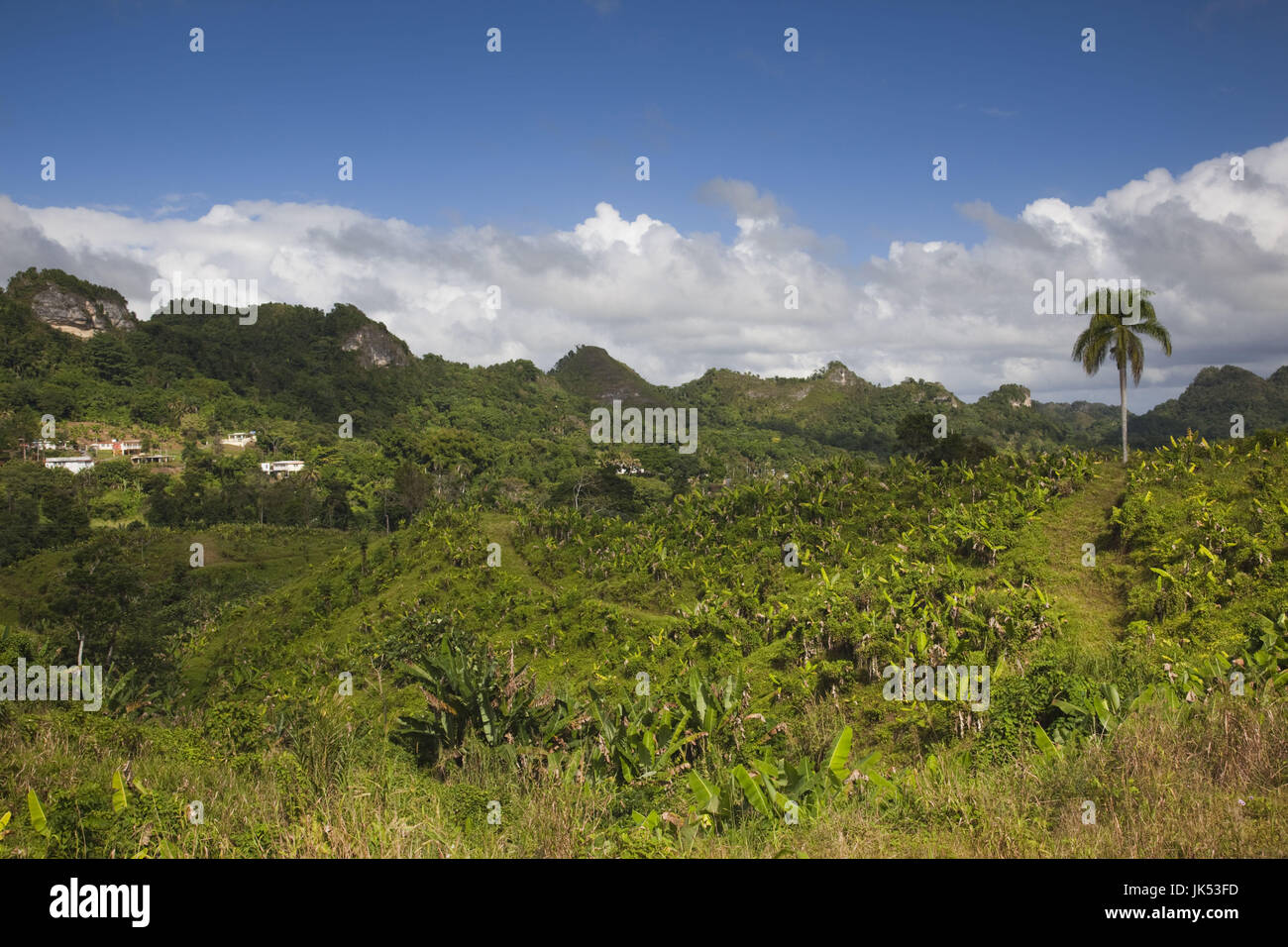 Puerto Rico, North Coast, Karst Country, Lares area, Karst Country ...