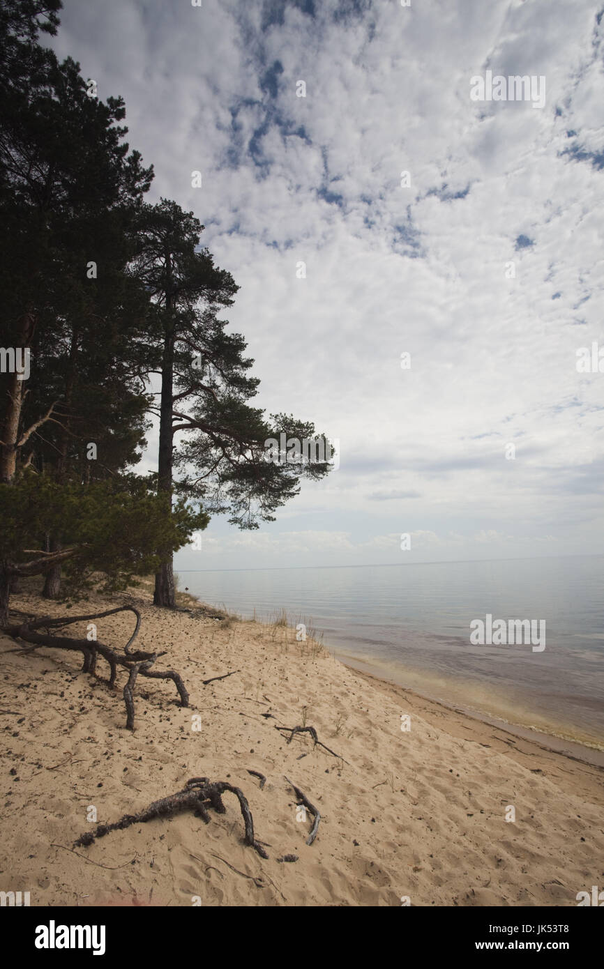 Estonia, Northeastern Estonia, Kauksi, view of Lake Peipsi on border ...