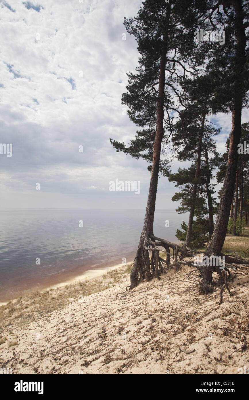 Estonia, Northeastern Estonia, Kauksi, view of Lake Peipsi on border ...