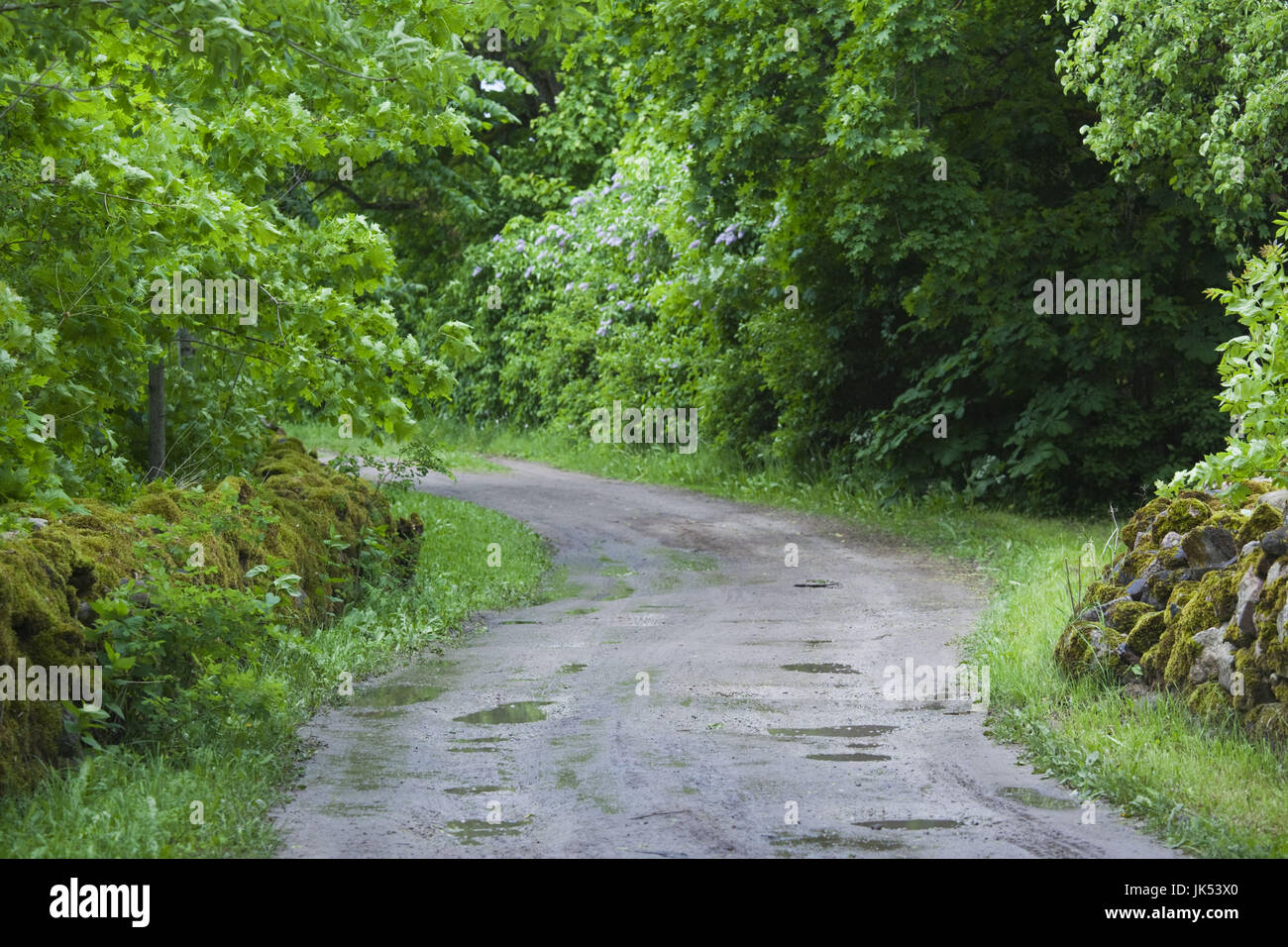 Estonian road museum hi-res stock photography and images - Alamy