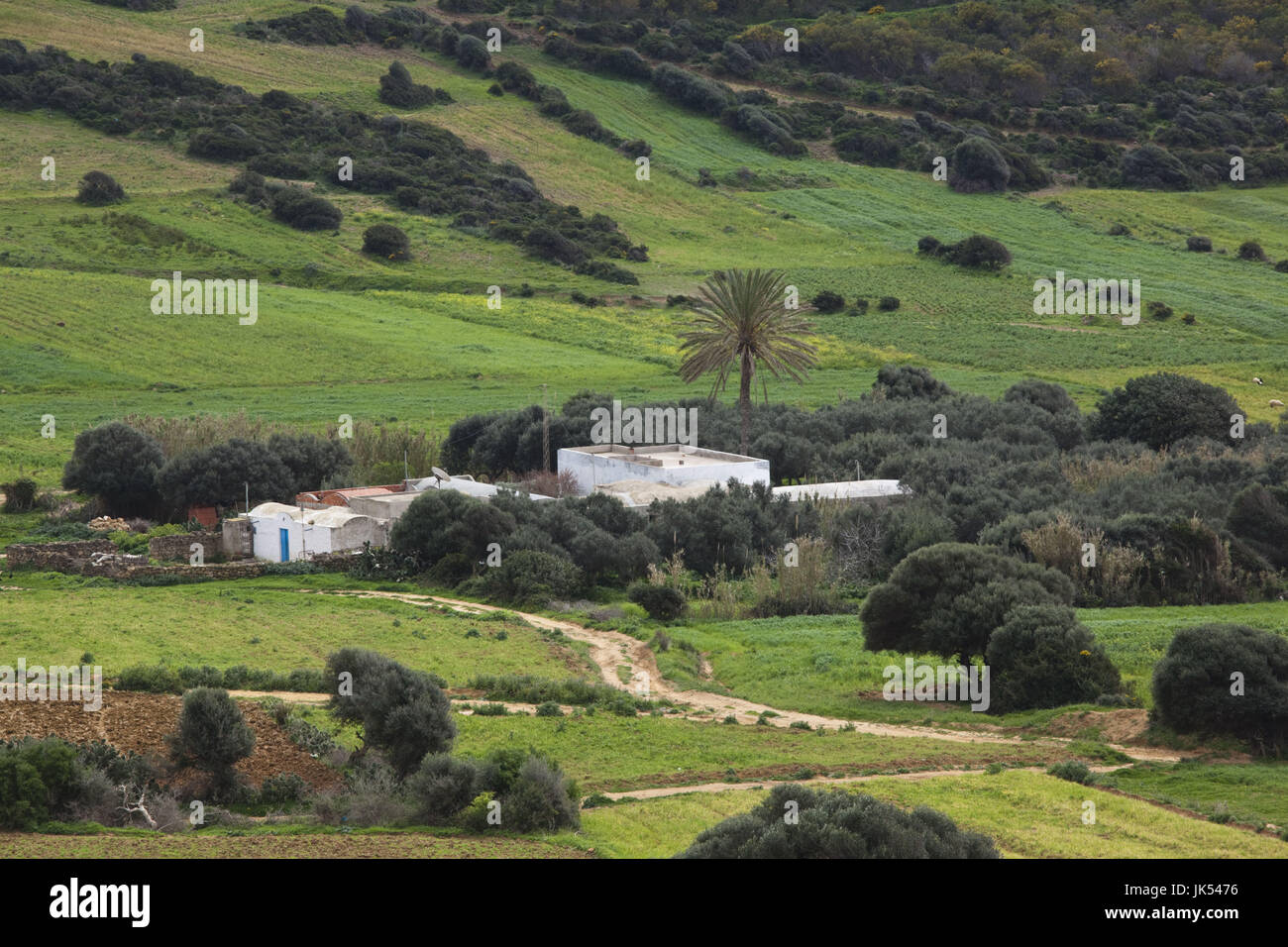 Tunisia, Cap Bon, El-Haouaria, elevated countryside view from Jebel ...