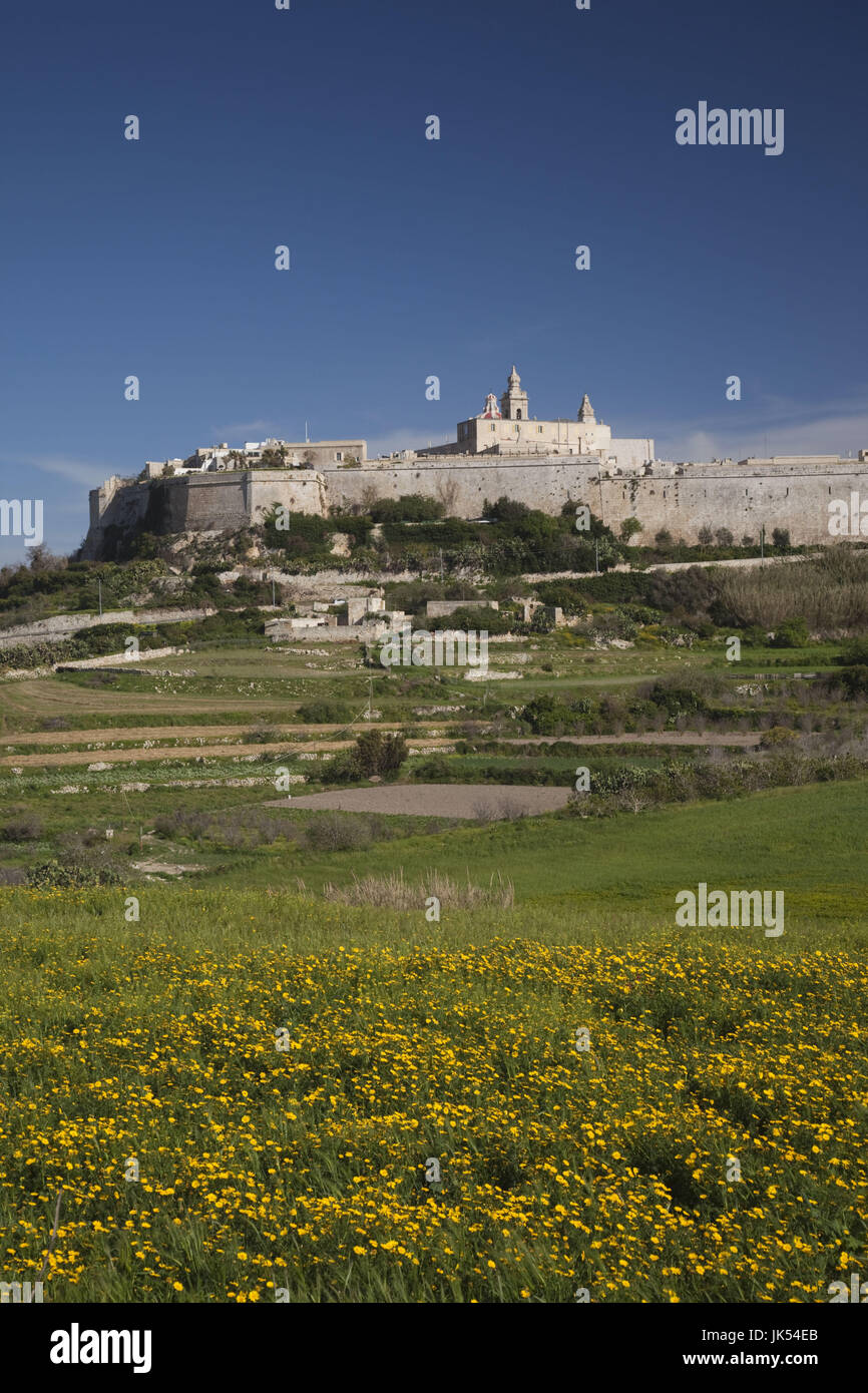 Malta, Central, Mdina, Rabat, elevated town view from the northwest ...