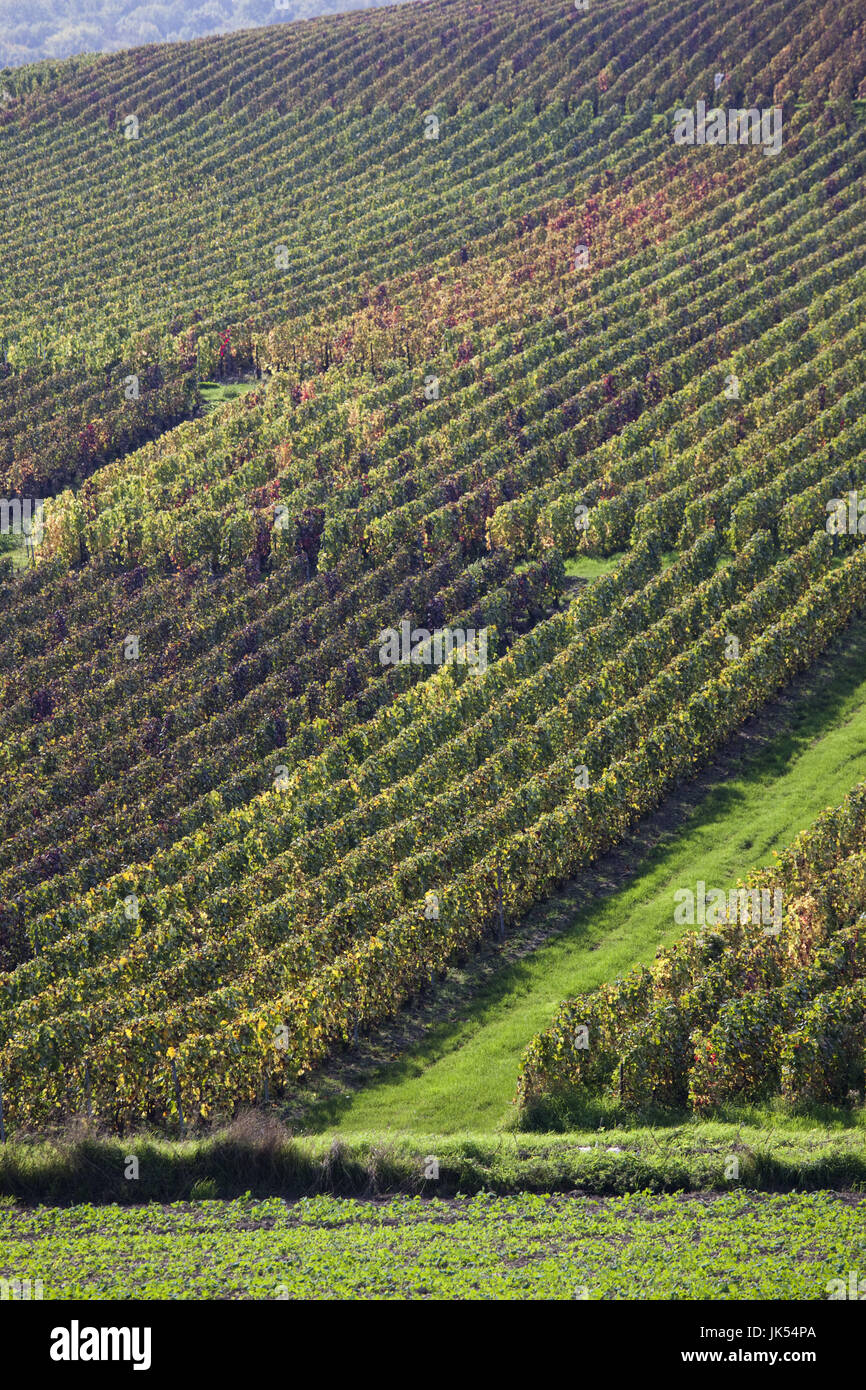 France marne hi-res stock photography and images - Alamy