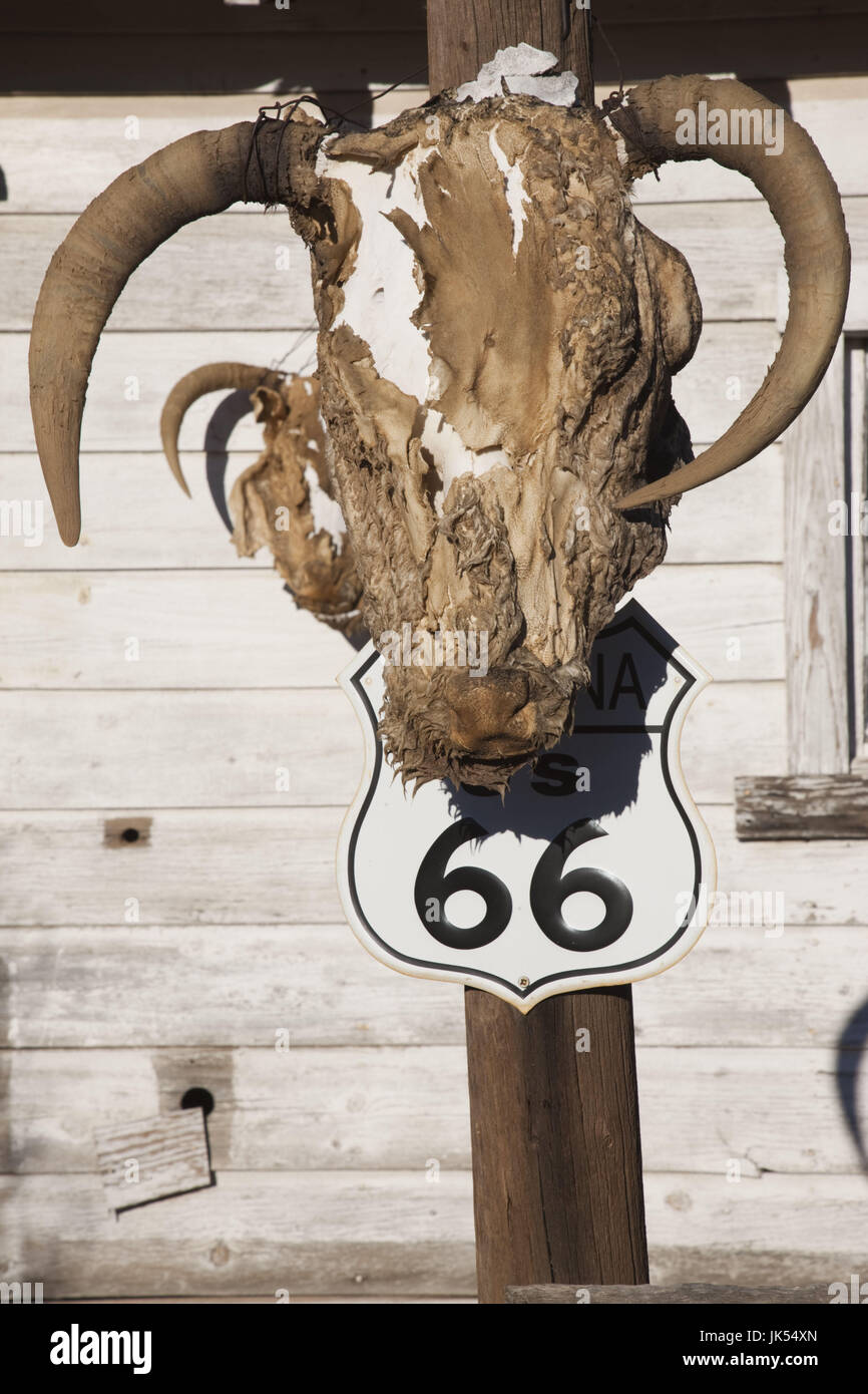 Cattle skull hi-res stock photography and images - Alamy
