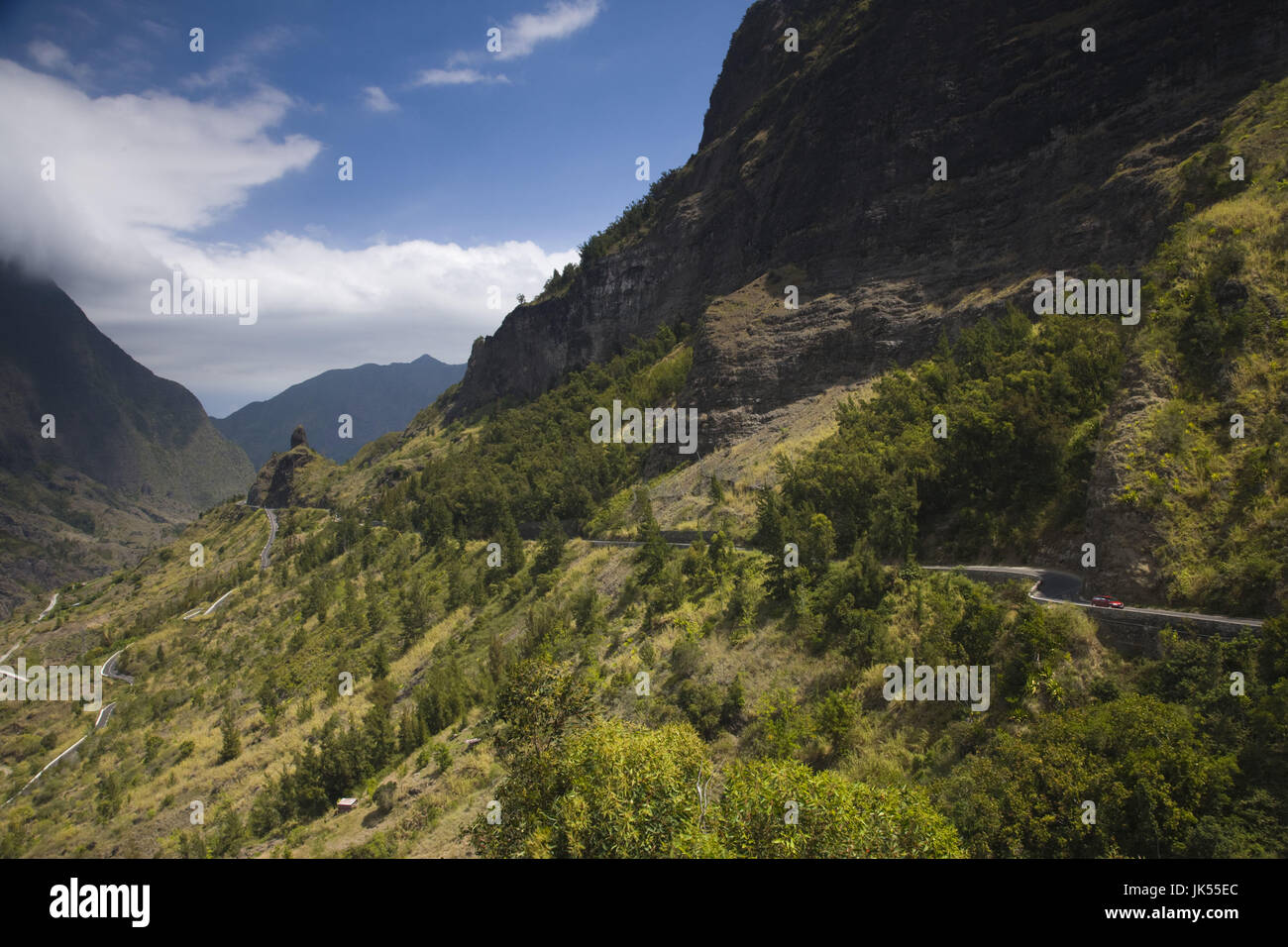 Le palmiste rouge hi-res stock photography and images - Alamy