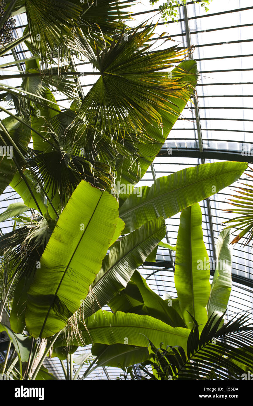 Palmengarten garden germany hi-res stock photography and images - Alamy