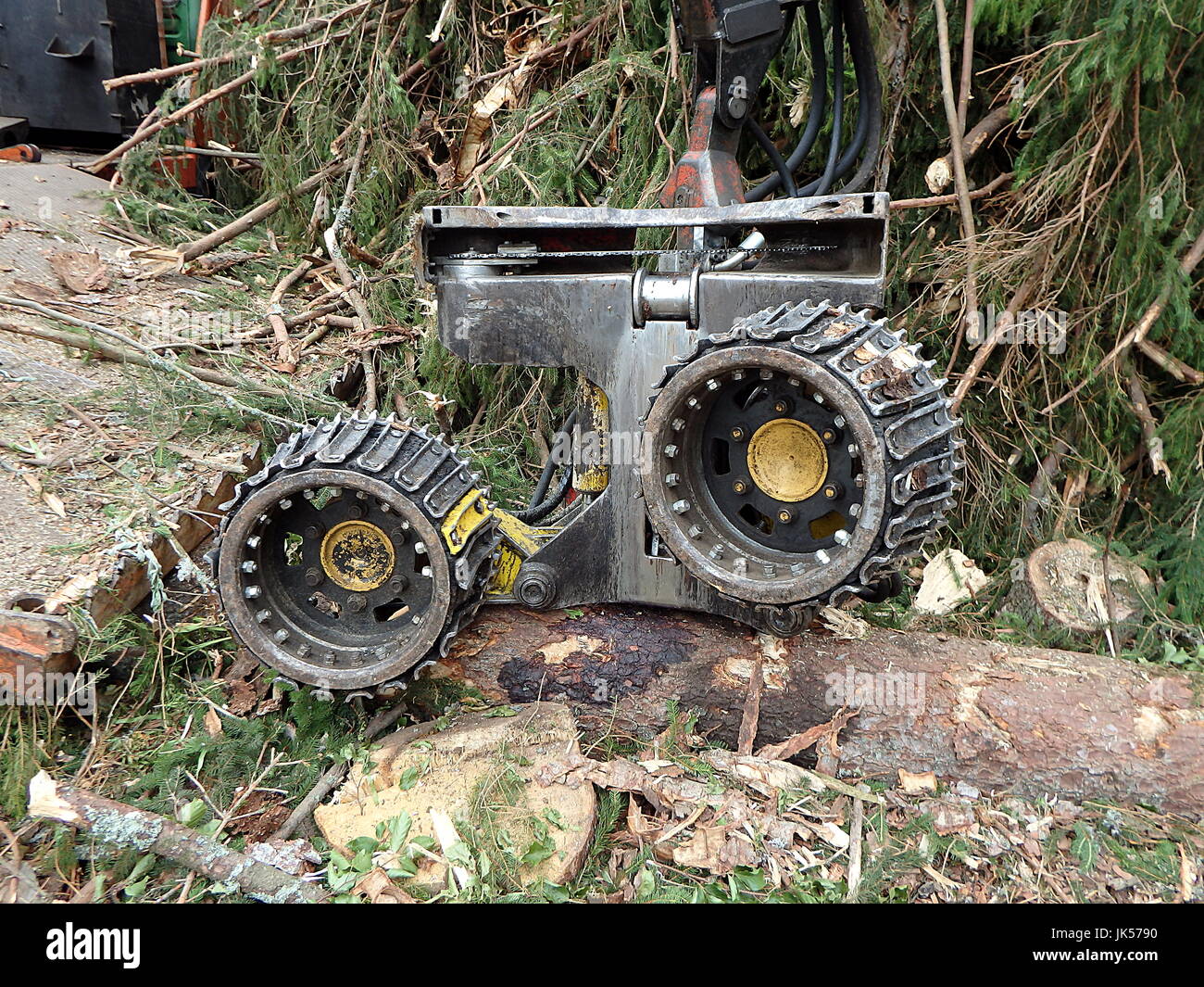 Timber harvester, operating head, Forest cutting Stock Photo - Alamy