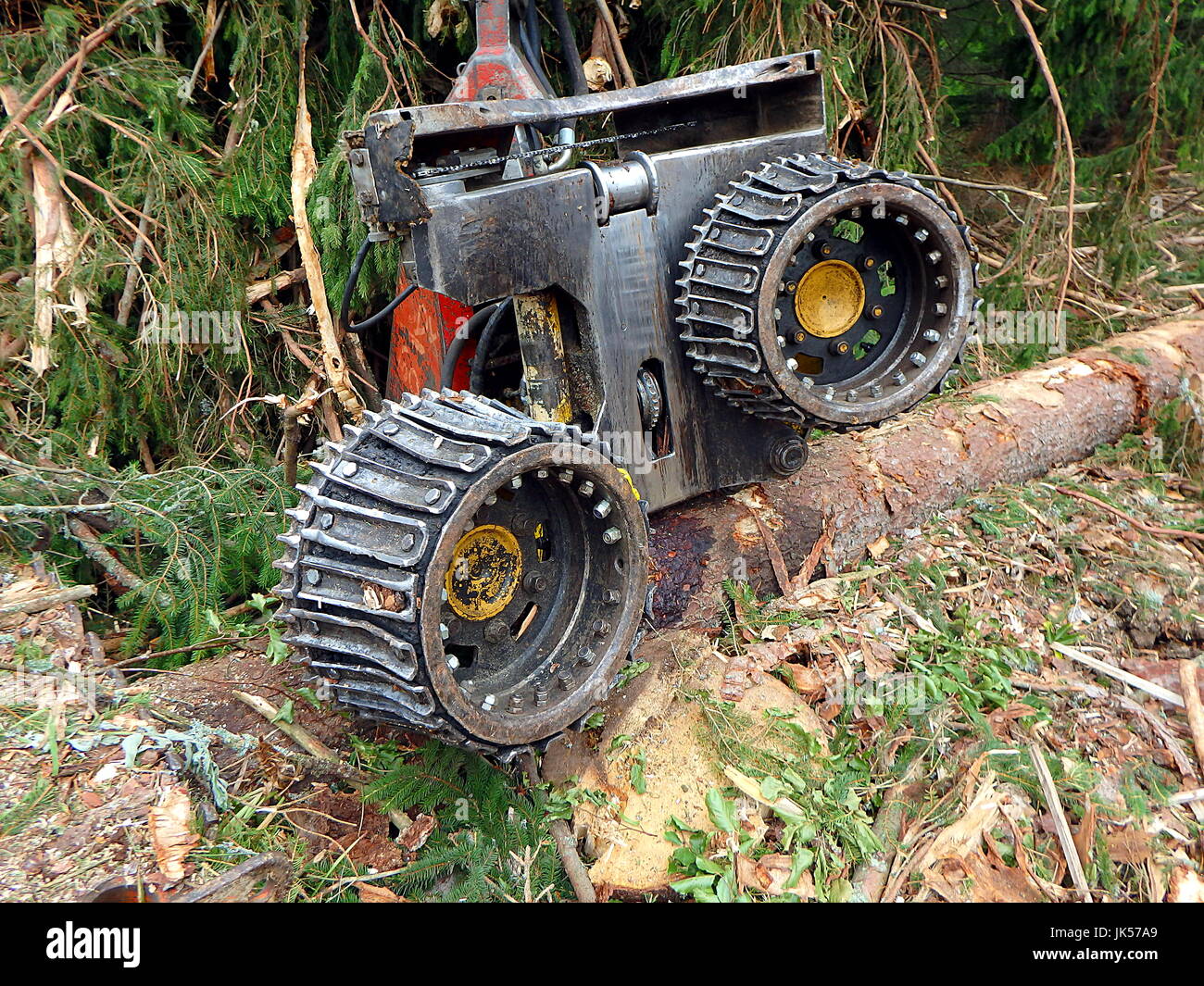 Timber harvester, operating head, Forest cutting Stock Photo - Alamy