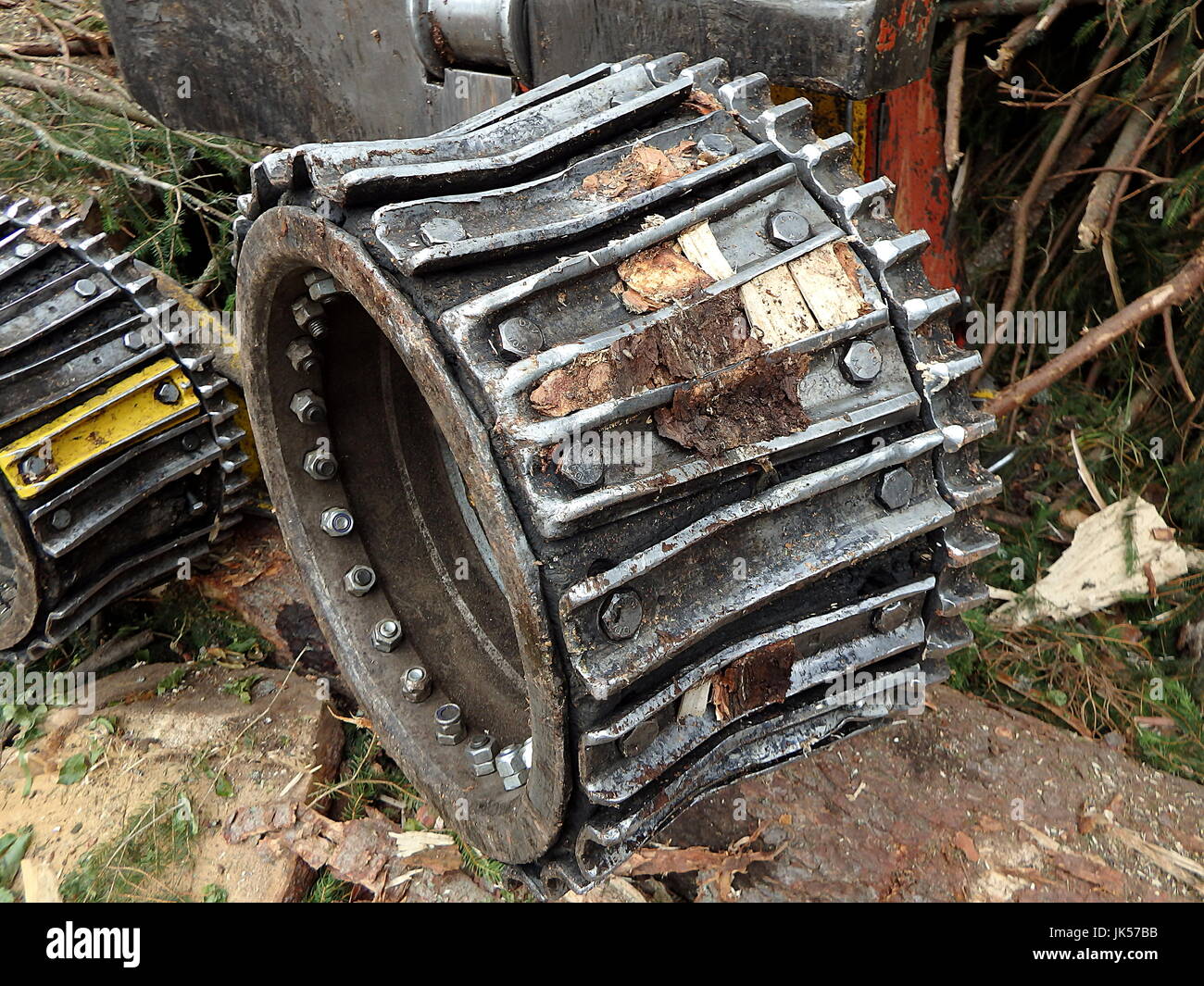 Timber harvester, operating head, Forest cutting Stock Photo - Alamy