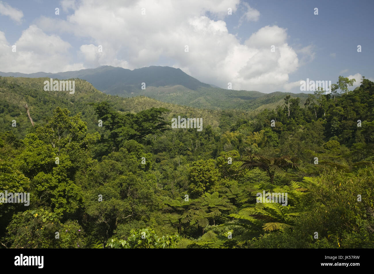 New Caledonia, Central Grande Terre Island, Col des Rousetts, el. 381 ...