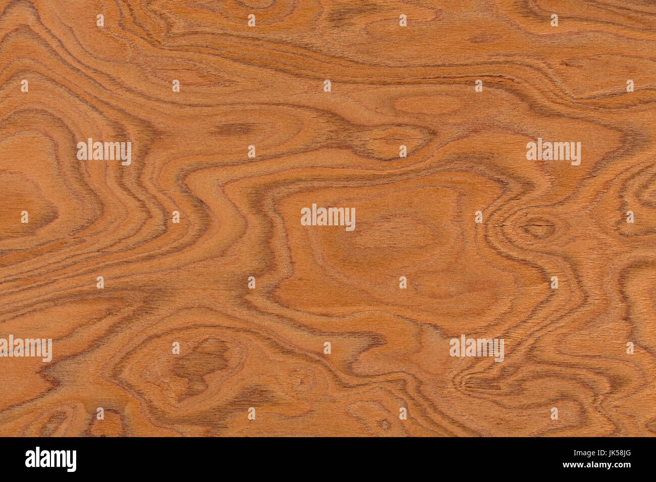 Real burl design texture. Natural background closeup Stock Photo - Alamy