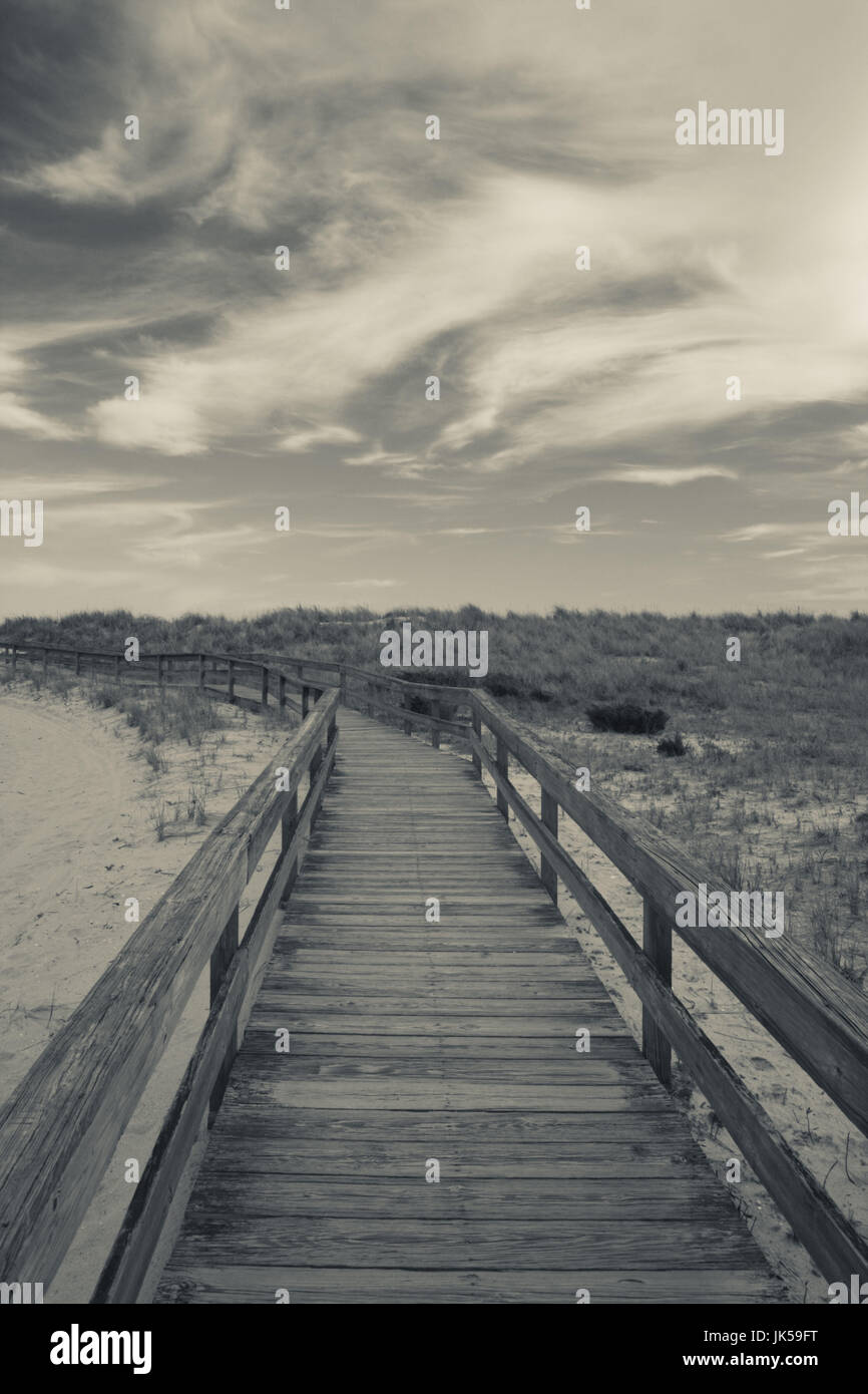 Robert moses state park hi-res stock photography and images - Alamy