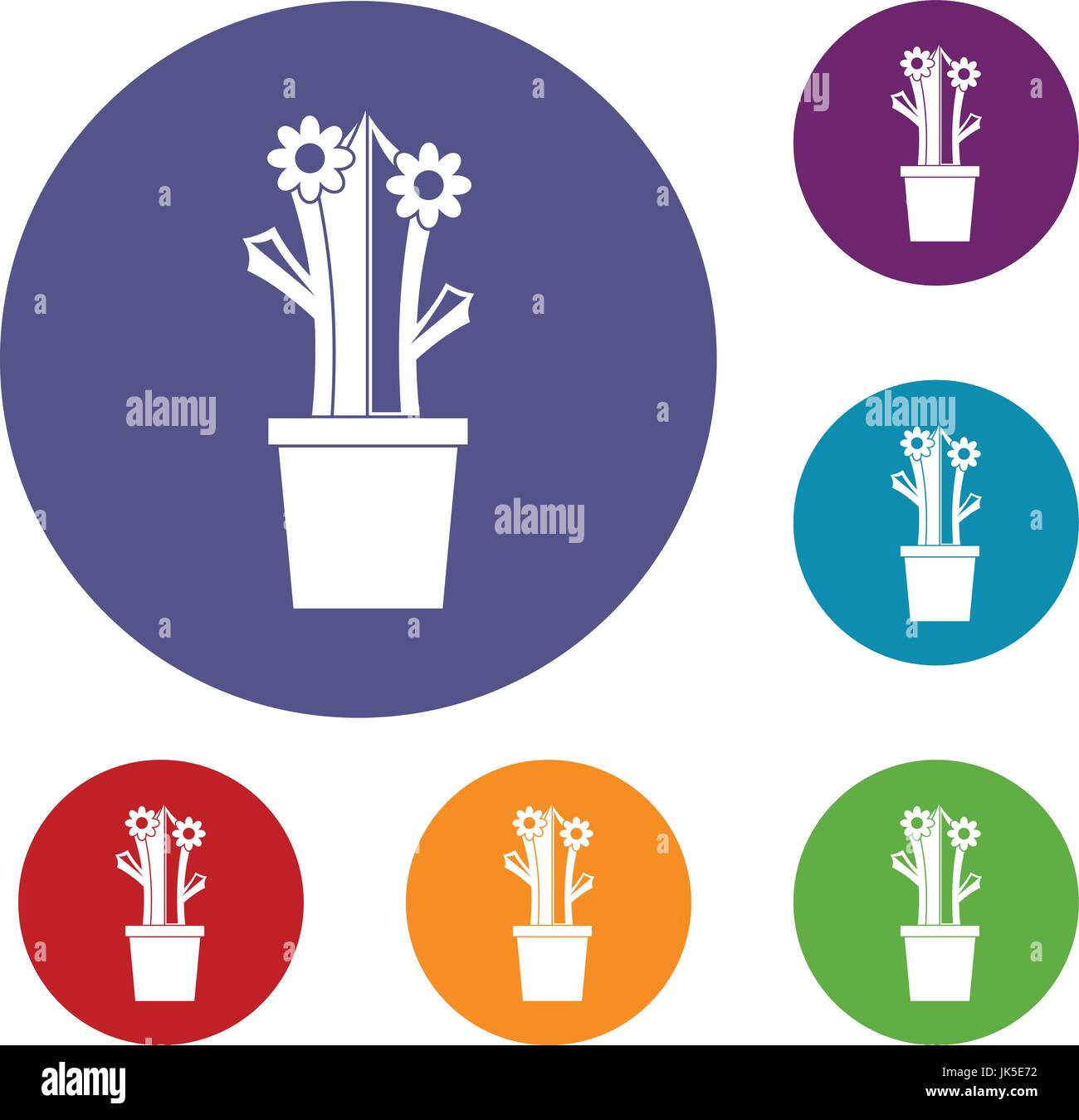 Red flowering succulent Stock Vector Images - Alamy