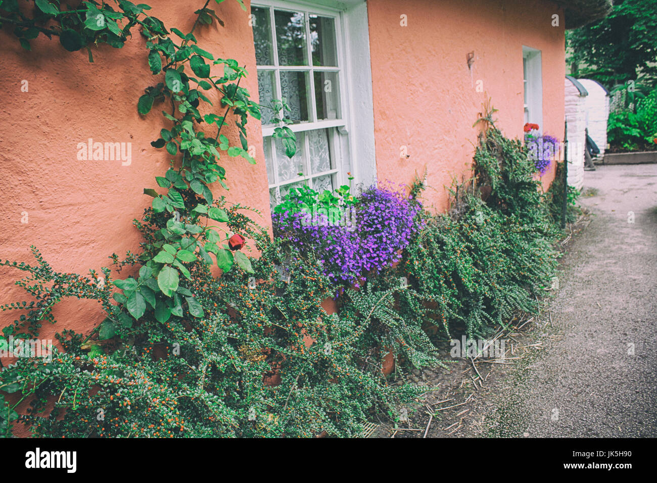 Bunratty village stucco house hi-res stock photography and images - Alamy