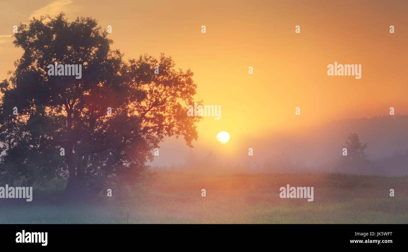 Beautiful landscape sunrise hi-res stock photography and images - Alamy