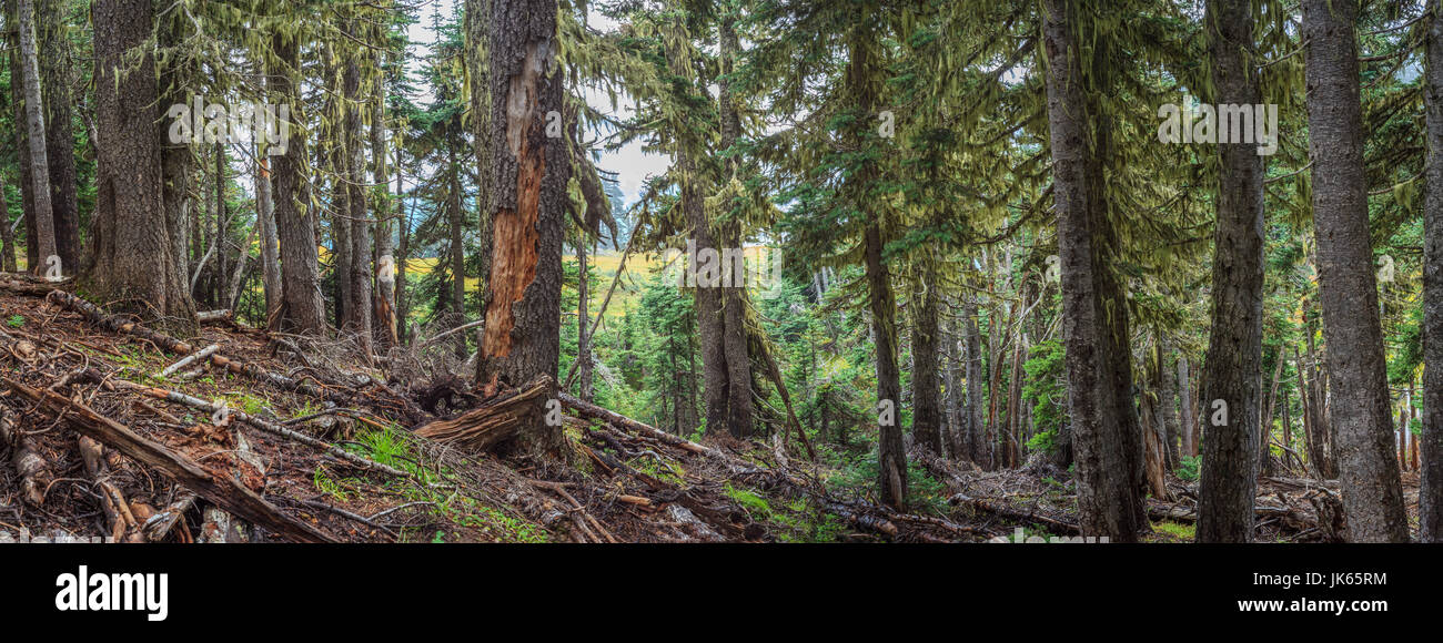 Sol duc falls hike hi-res stock photography and images - Alamy