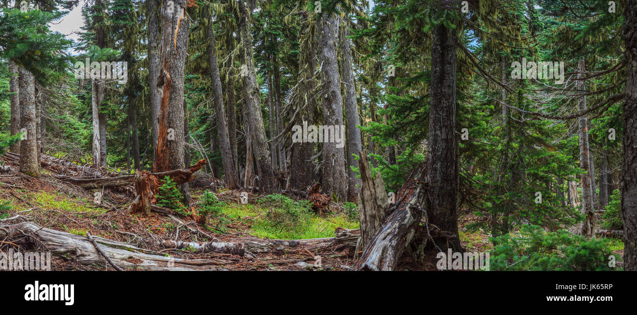 Sol duc falls hike hi-res stock photography and images - Alamy