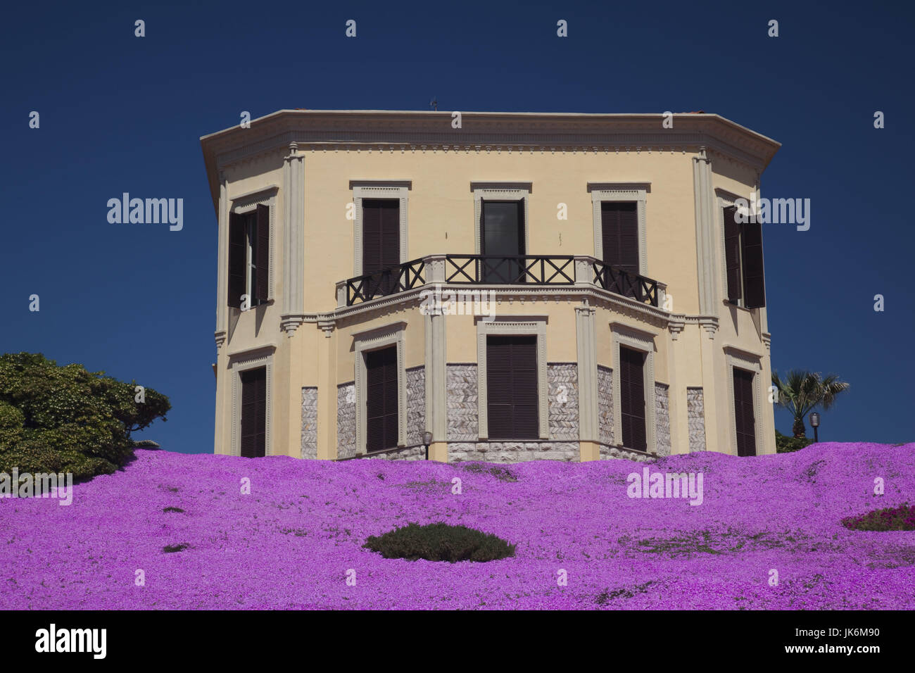 Sardinia flowers hi-res stock photography and images - Alamy