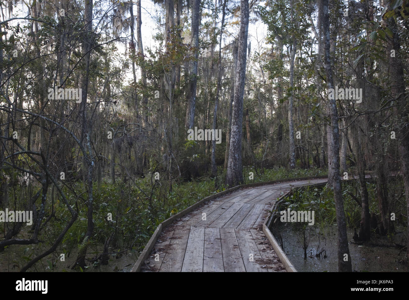 USA, Louisiana, Jean Lafitte National Historic Park and Preserve, swamp ...