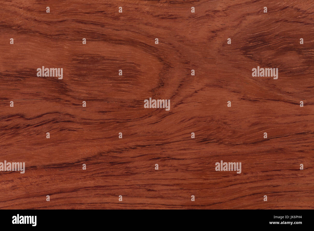 Redwood Texture Background Or Backdrop The Bark Texture Of A Young