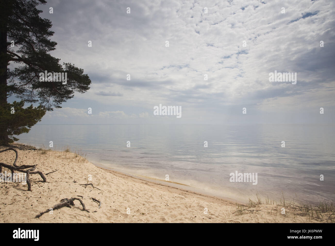 Estonia, Northeastern Estonia, Kauksi, view of Lake Peipsi on border ...