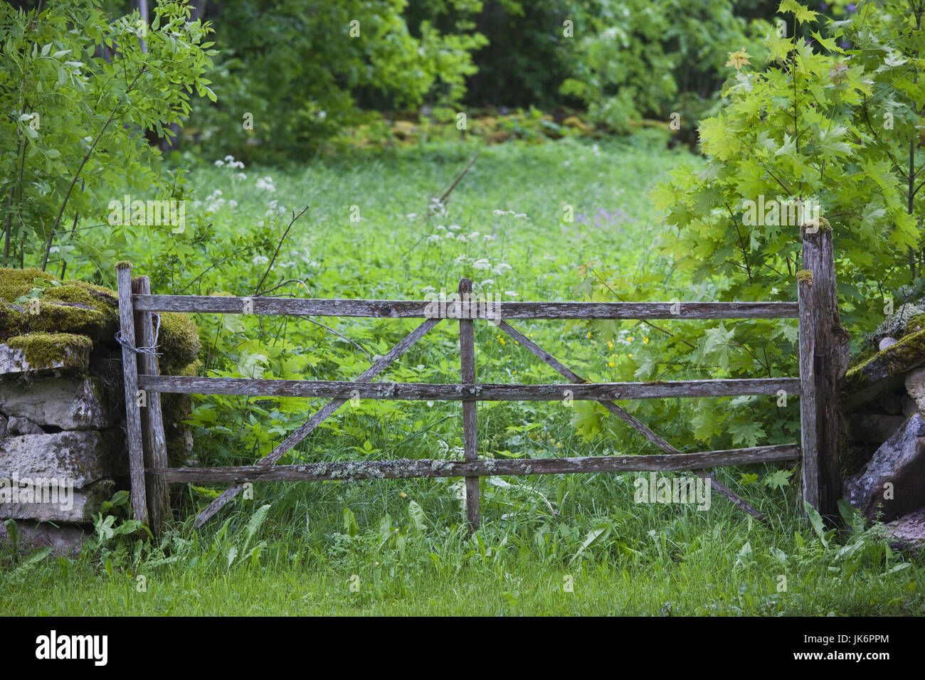 Muhu hi-res stock photography and images - Alamy