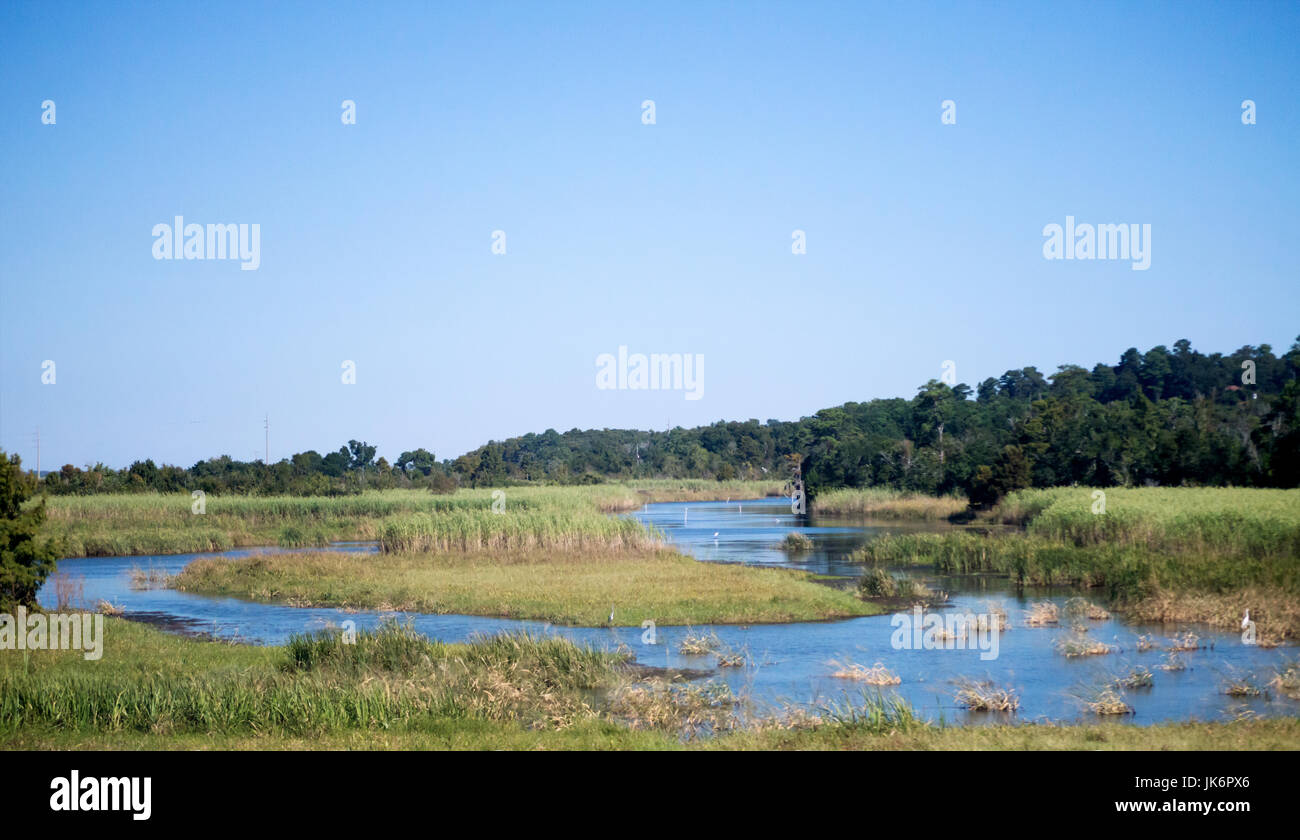 A curvy water delta pathway with a forest behind it Stock Photo - Alamy