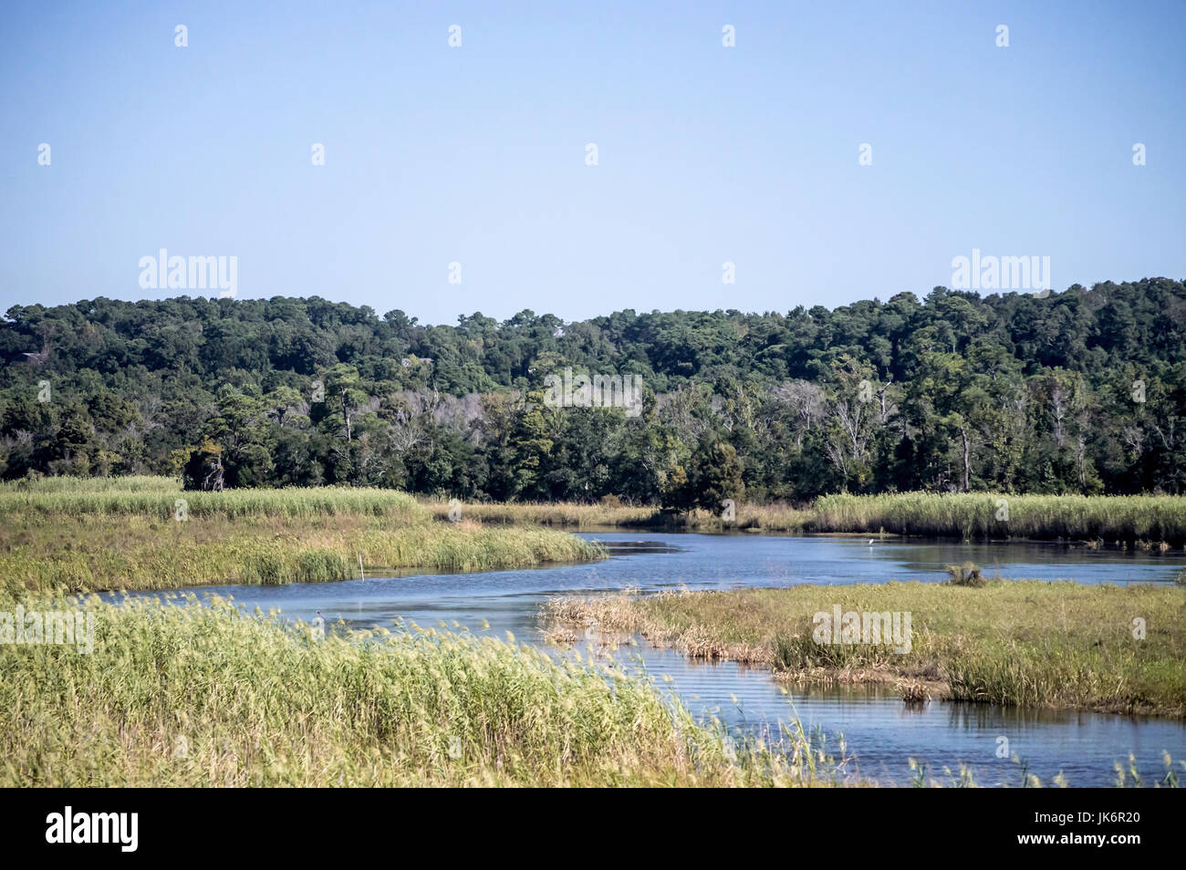 Curvy leaf hi-res stock photography and images - Alamy
