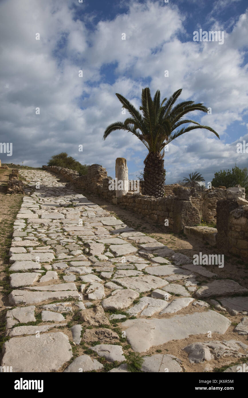 Tunisia, Tunis, Carthage, ruins of Roman-era Villas Stock Photo - Alamy